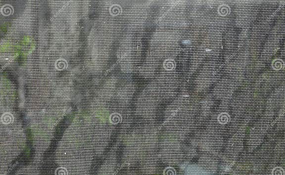 Stain on Mosquito Net Texture and Background Stock Photo - Image of ...