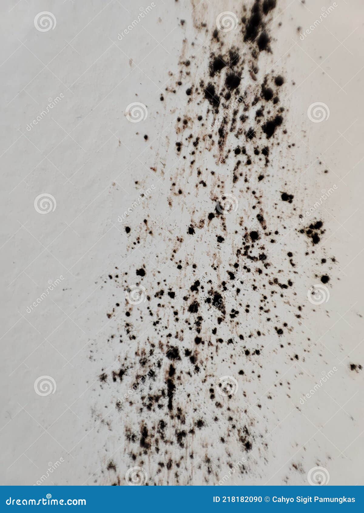 Stain on the Wall, this is a Collection of Small Stains Stock Photo ...