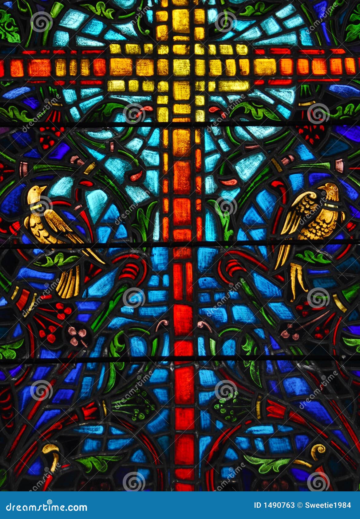 Stained Glass Slides Of Peripheral Blood Smear With Violet Leishman ...