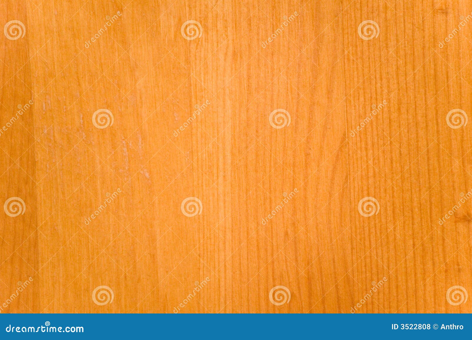 Stained pine wood texture stock photo. Image of backgrounds - 3522808