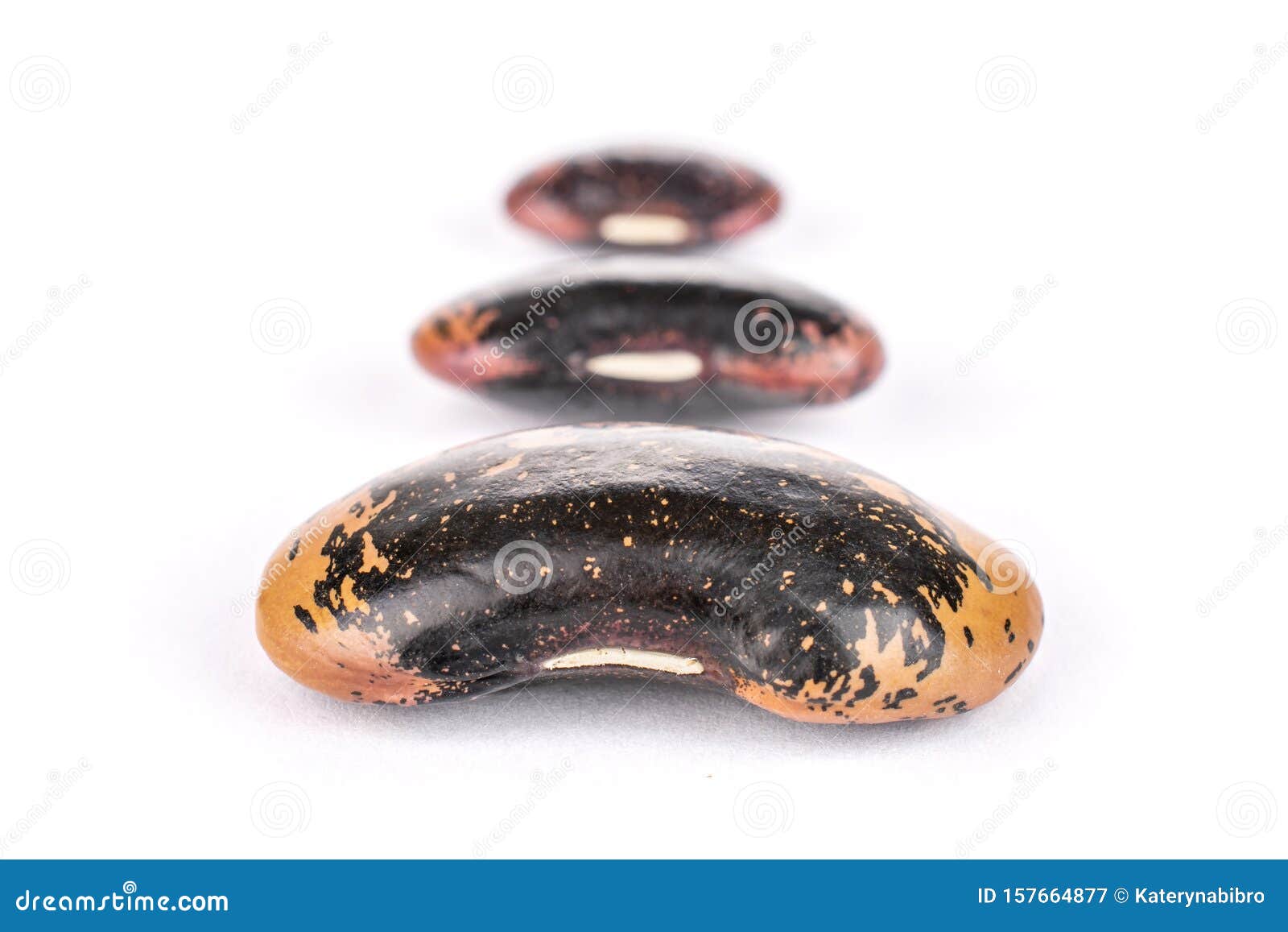 Stained Purple Bean Isolated on White Stock Image - Image of light ...
