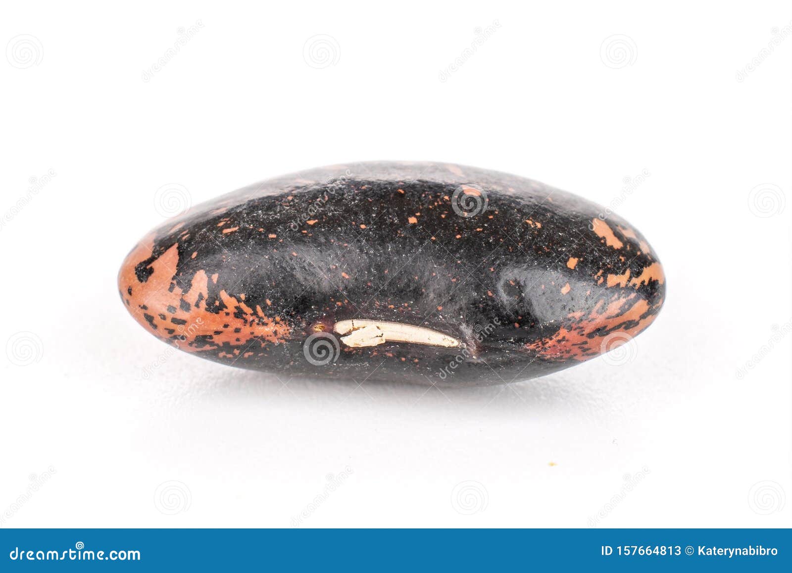 Stained Purple Bean Isolated on White Stock Image - Image of bean ...