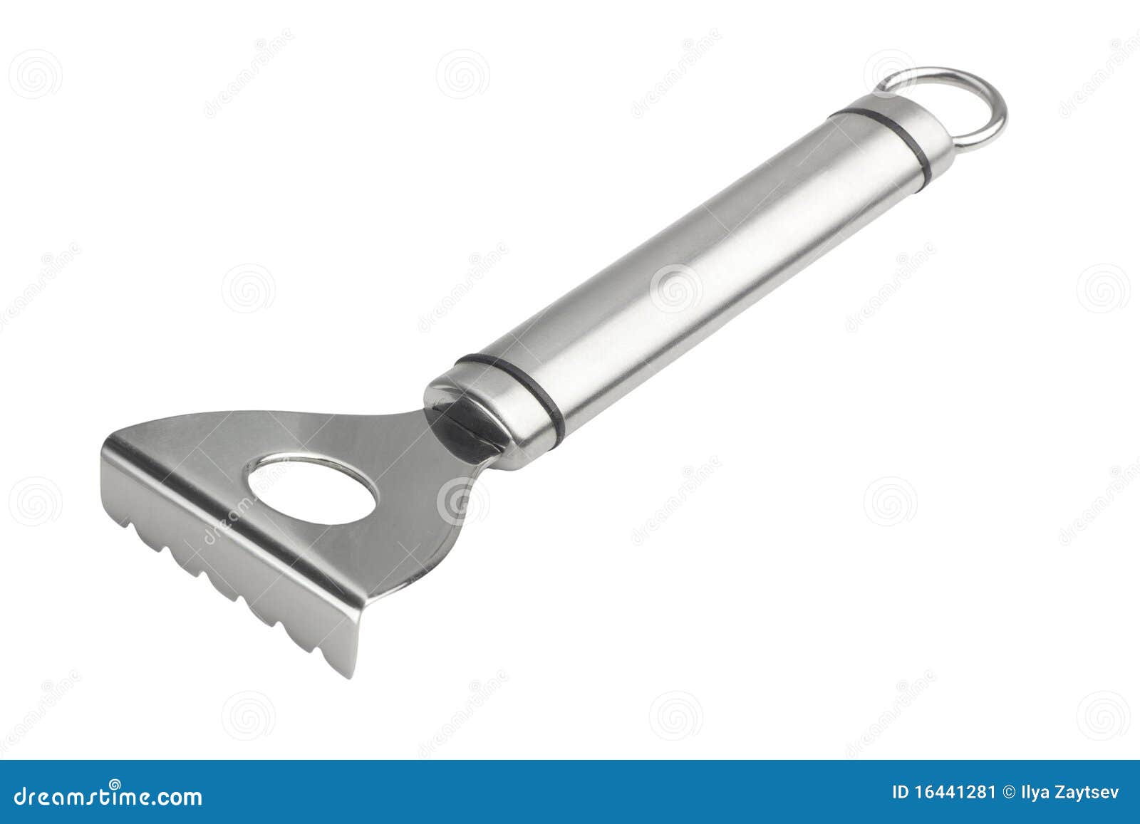 Stainless Steel Fish Scraper Stock Image - Image of utensil, fish: 16441281