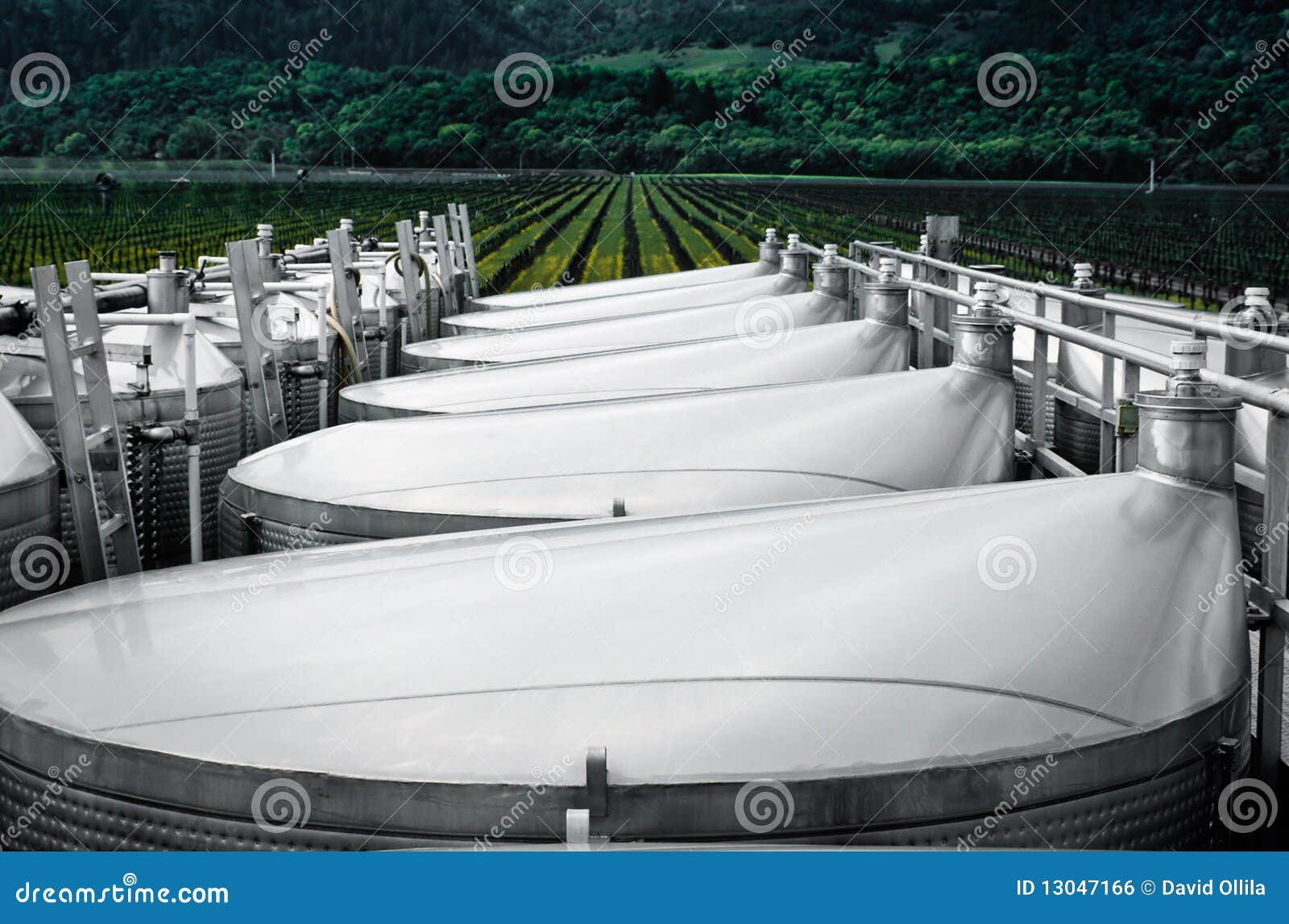 Stainless Steel Process Tanks at a Vineyard Stock Photo - Image of ...