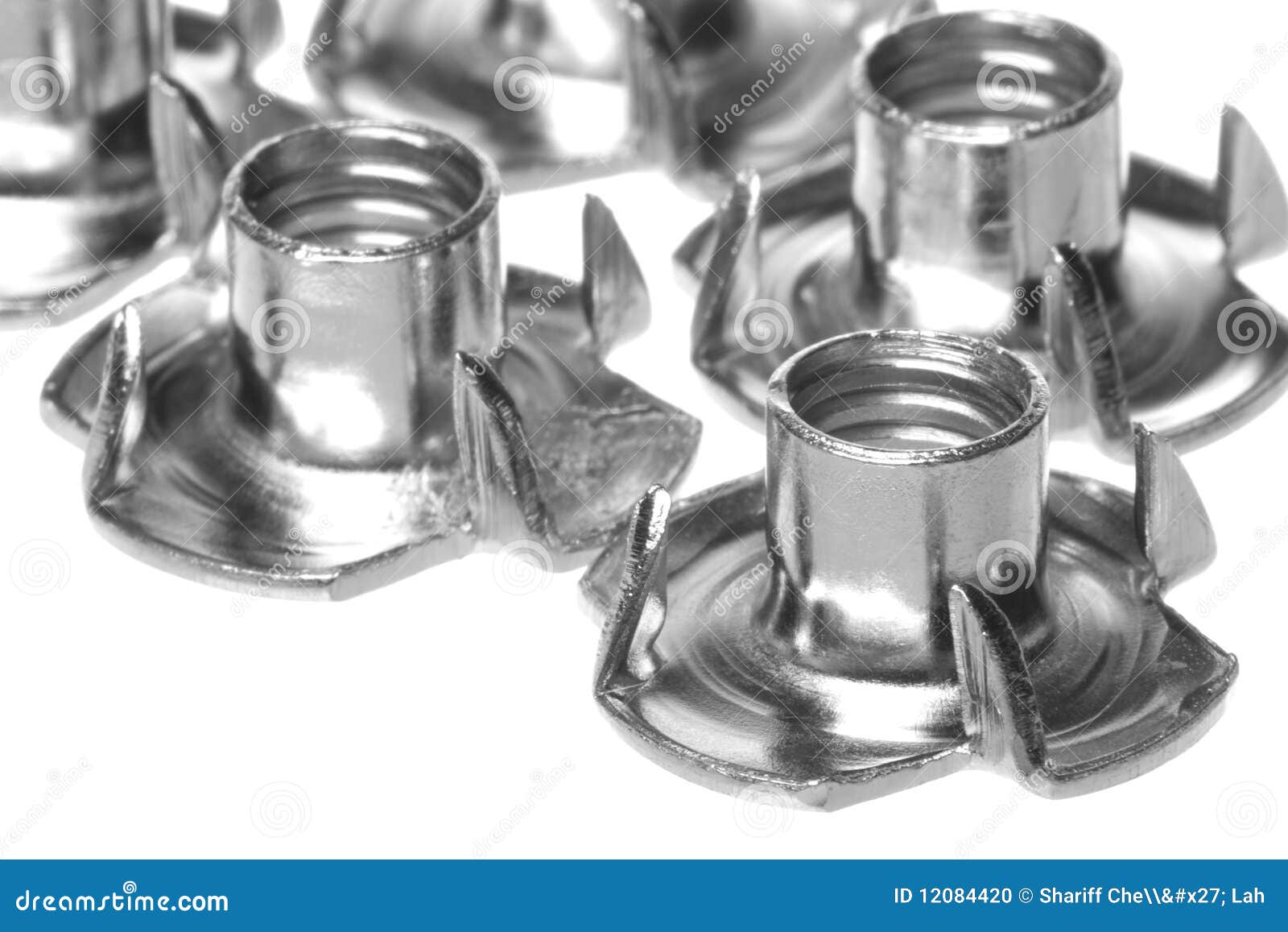 Stainless Steel Tee Nuts Isolated Stock Photo - Image of carpentry ...