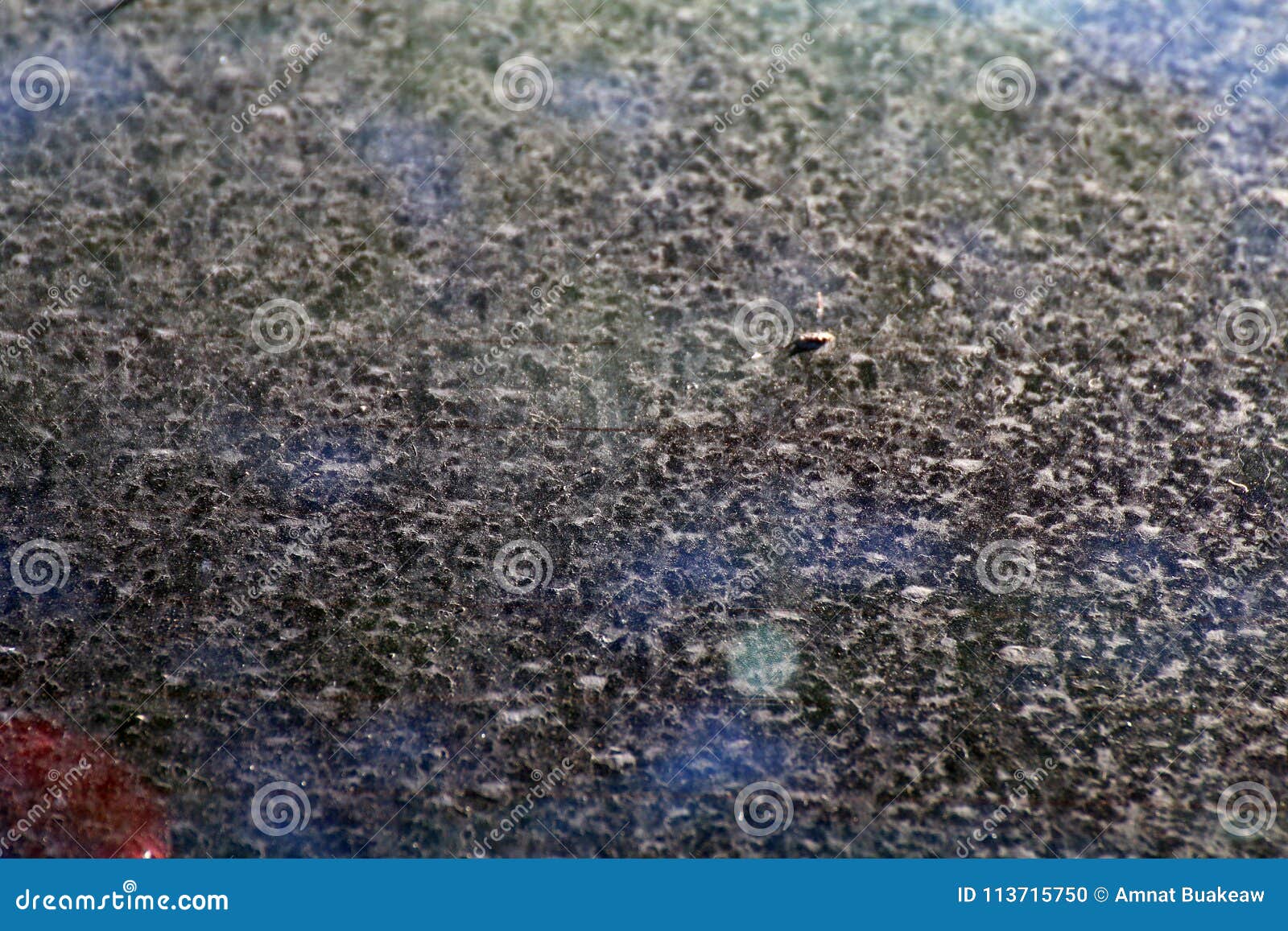 Stains, Dirt on the Glass Car Pollution, Surface Dirt, Dust Soil ...
