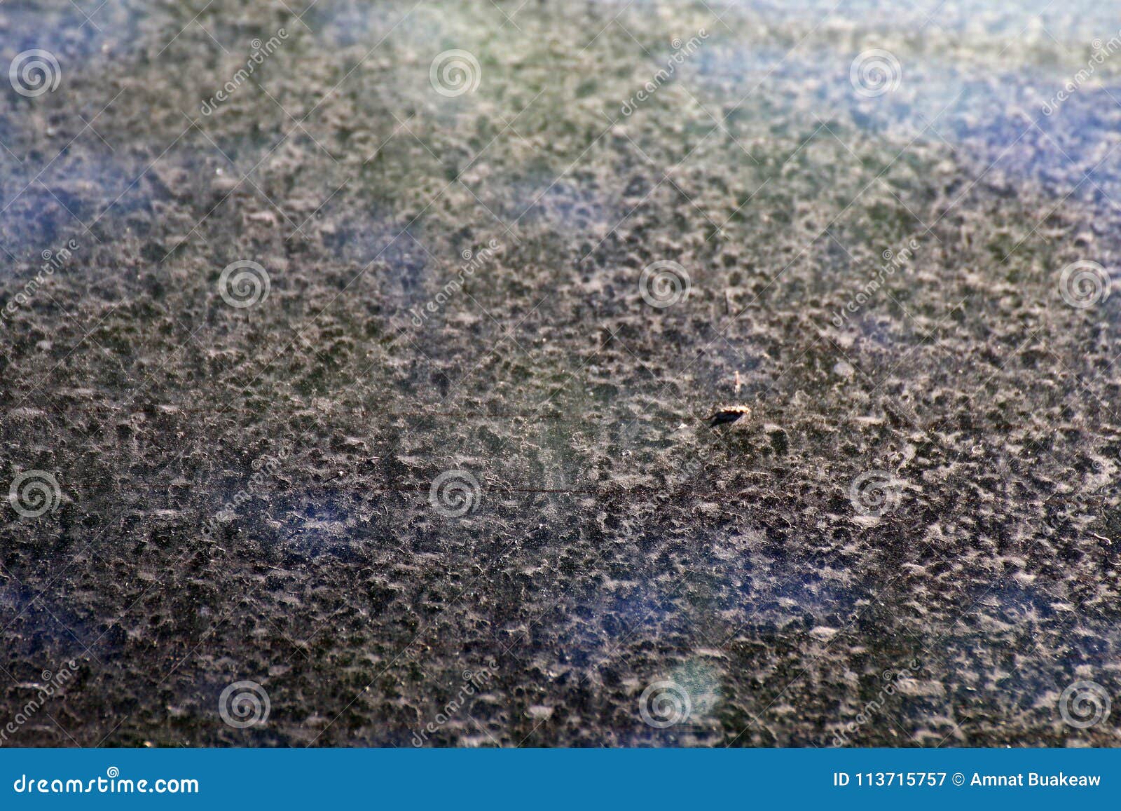 Stains, Dirt on the Glass Car Pollution, Surface Dirt, Dust Soil ...