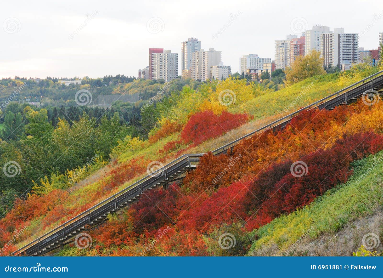 1,605 Alberta Bush Photos - Free & Royalty-Free Stock Photos from ...