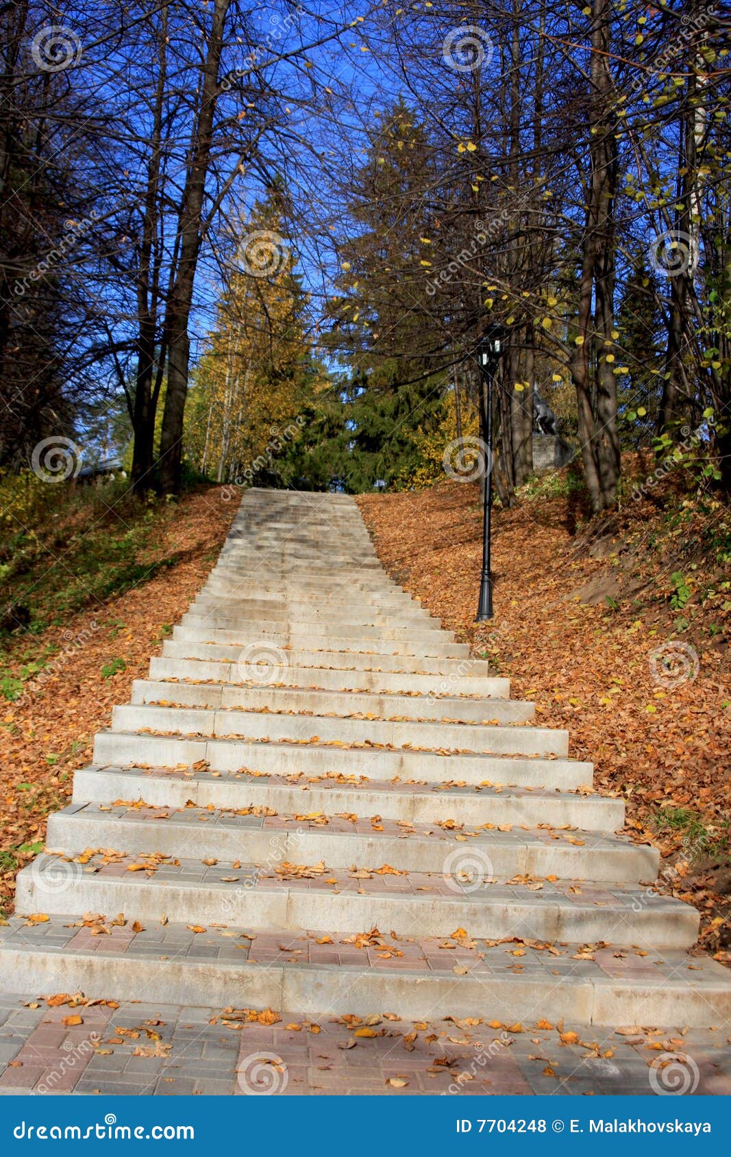 Stair and autumn leaves stock photo. Image of colours - 7704248