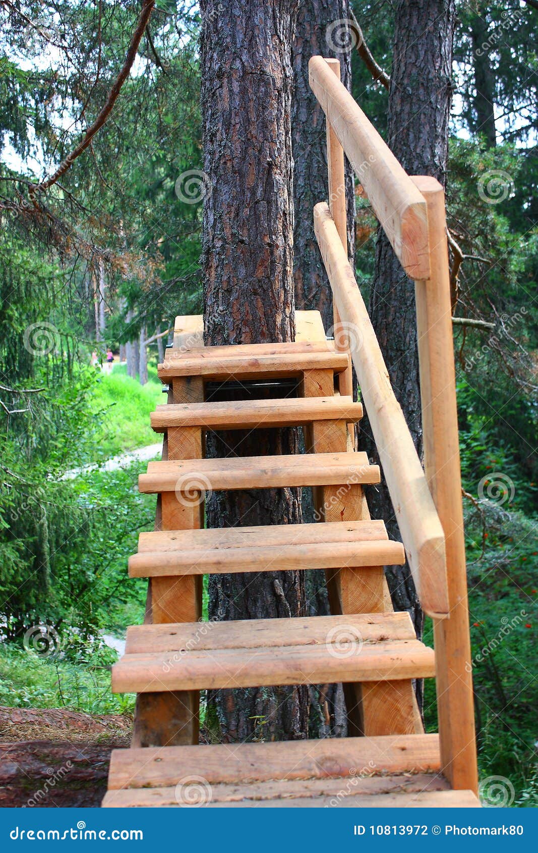 The stair in the forest stock photo. Image of mountain - 10813972