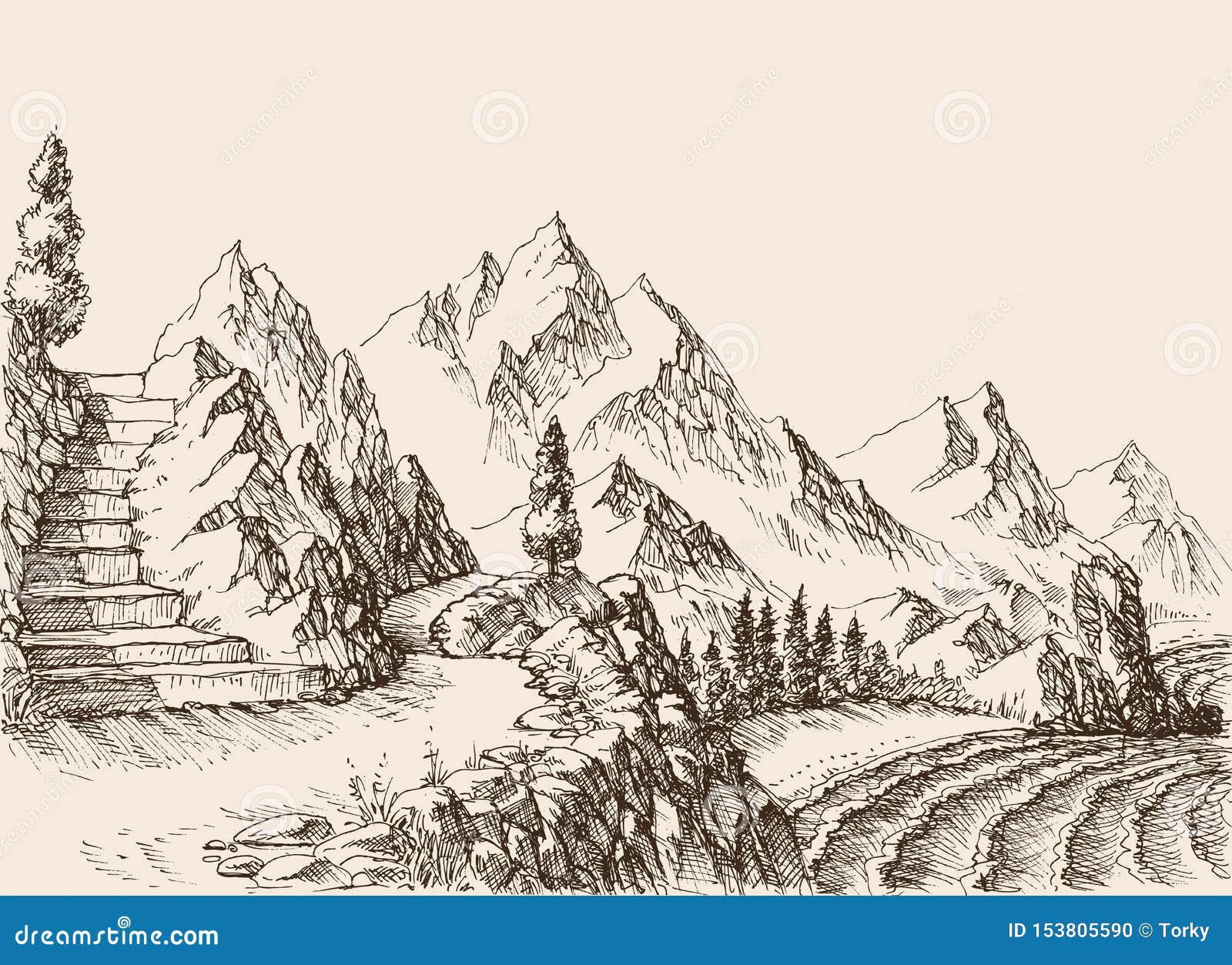 Alpine Landscape, Valley, Vegetation And Mountains Ranges Vector ...