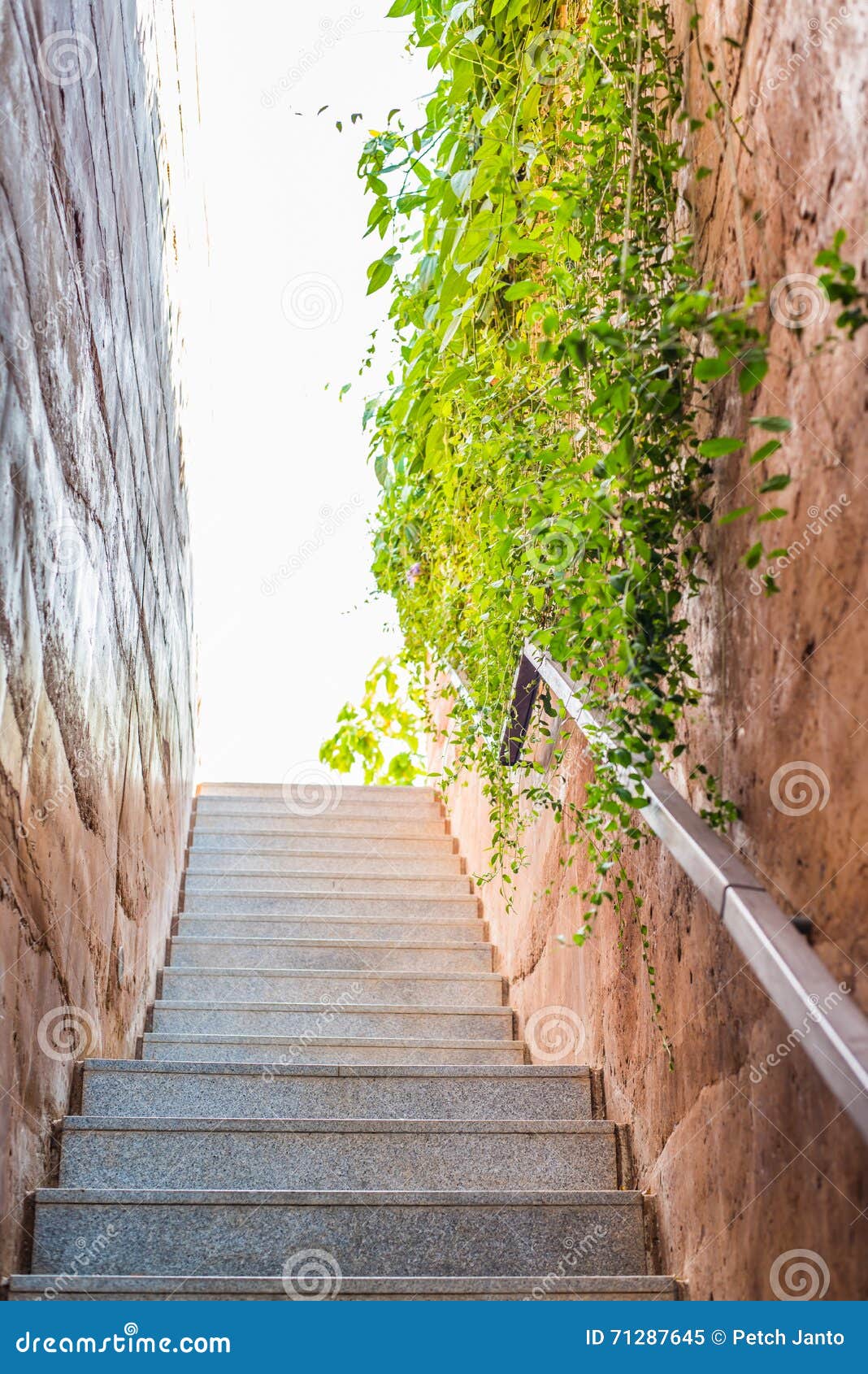 Stair natural in park stock image. Image of road, forest - 71287645