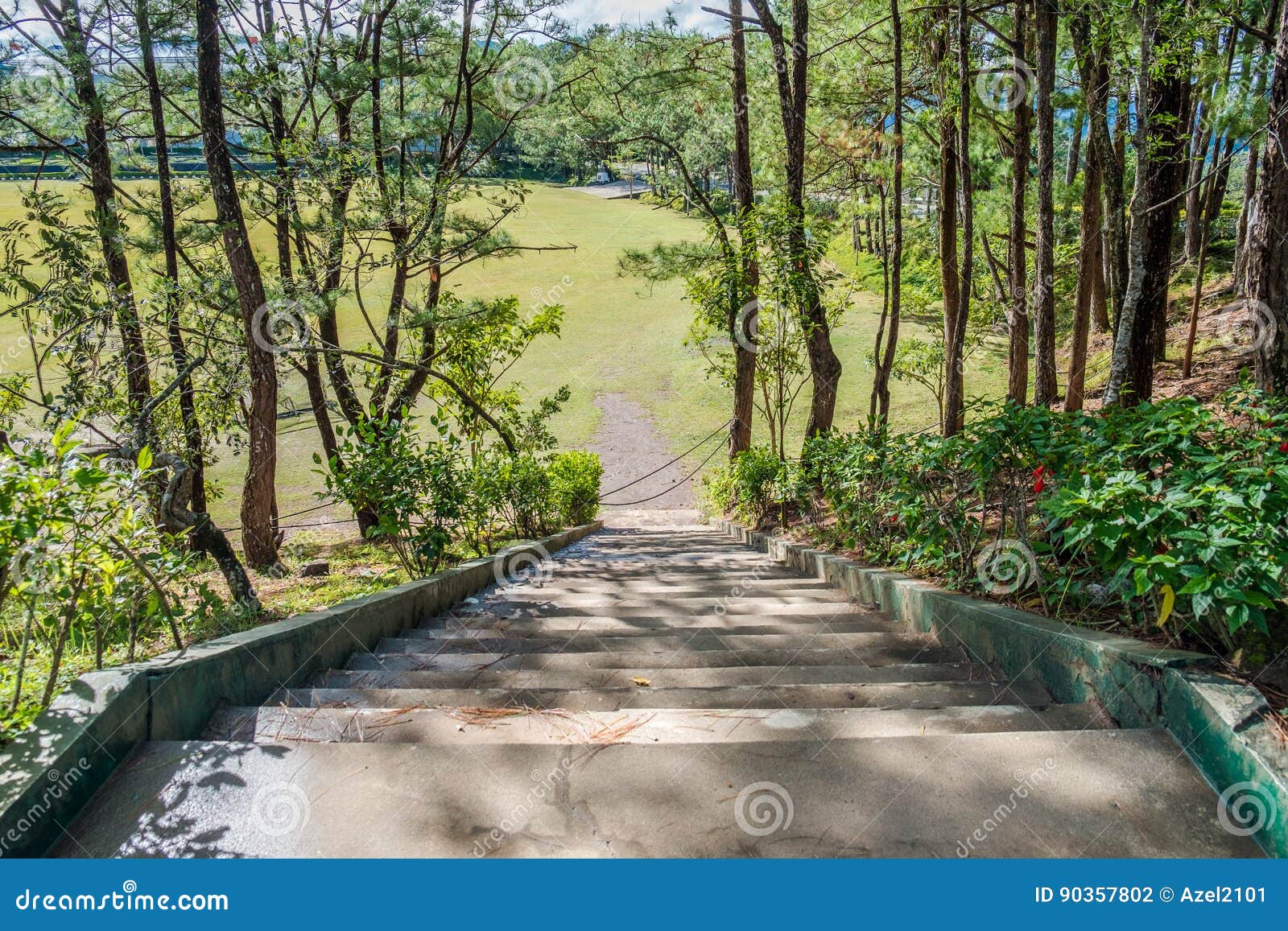 Stair in the Park stock photo. Image of baguio, tree - 90357802