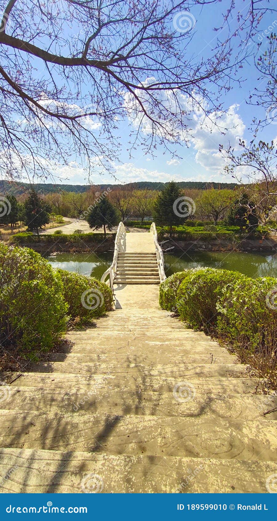 Stair Path and Bridge in Spring Stock Photo - Image of background, bowl ...