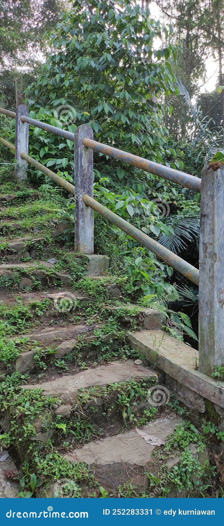 Stair and Railing Bridge in the Forest Stock Image - Image of bridge ...