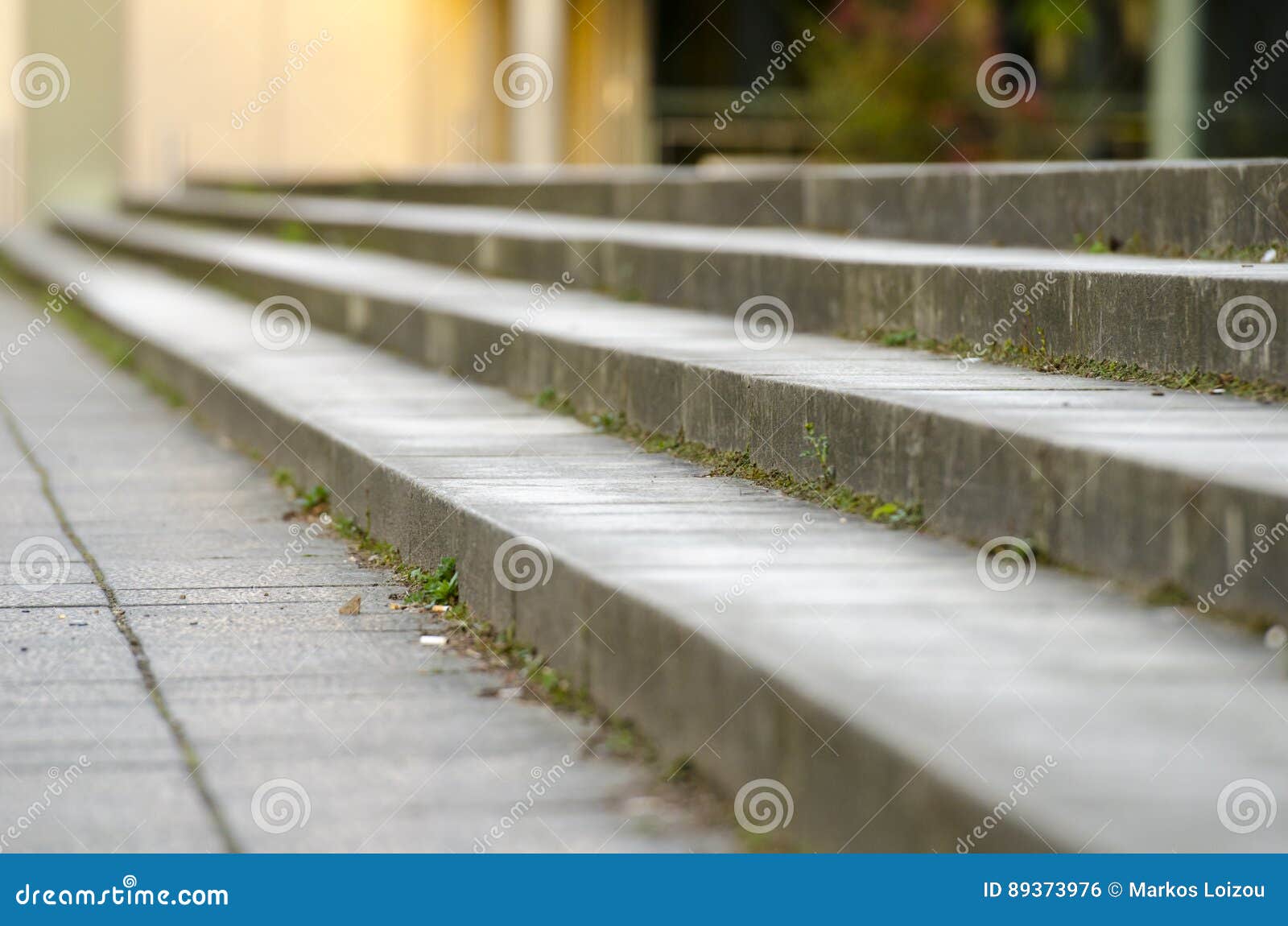 Stair stock photo. Image of outdoor, field, moss, blurry - 89373976