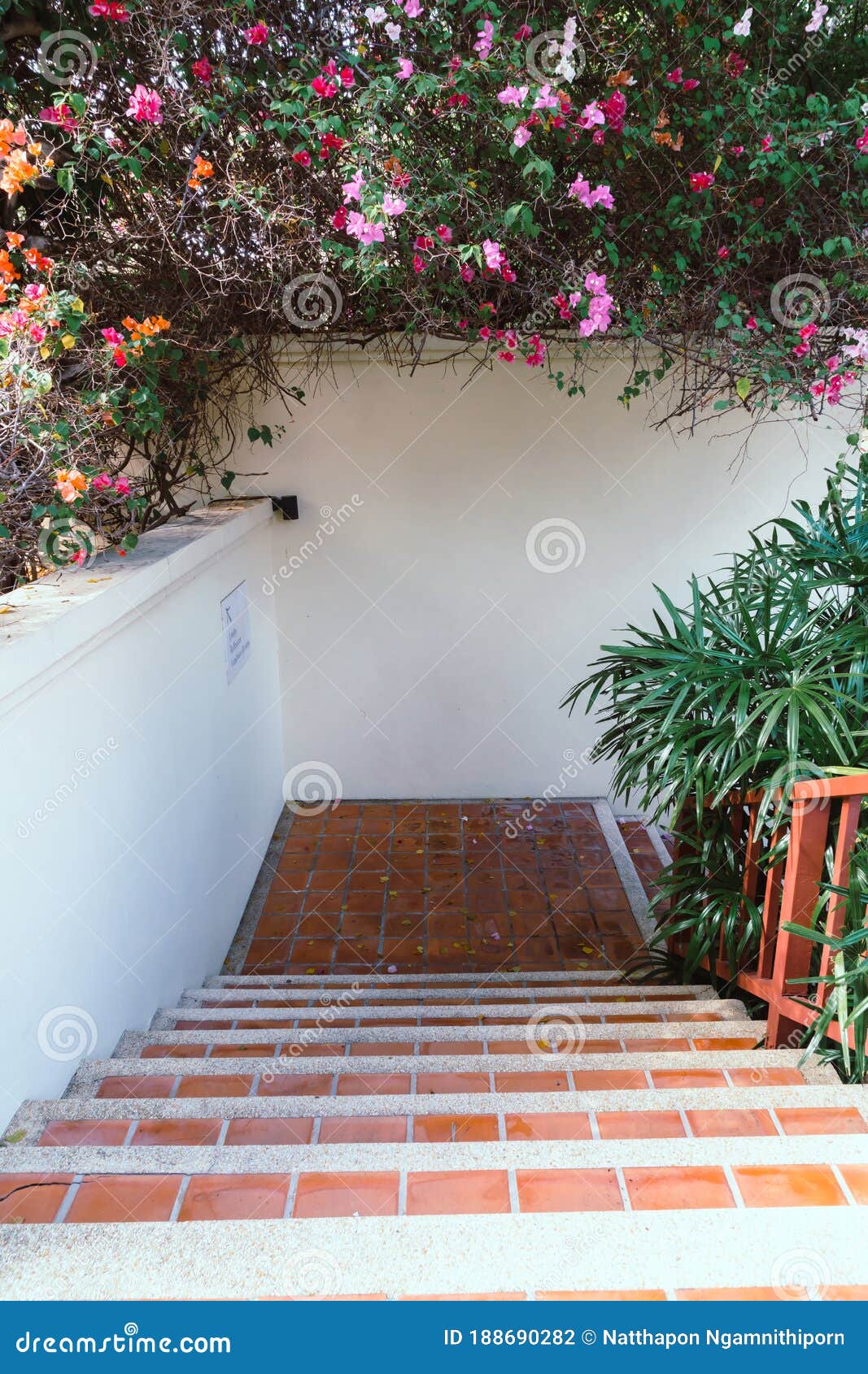 Stair Step with Beautiful Flowers Stock Photo - Image of foliage ...