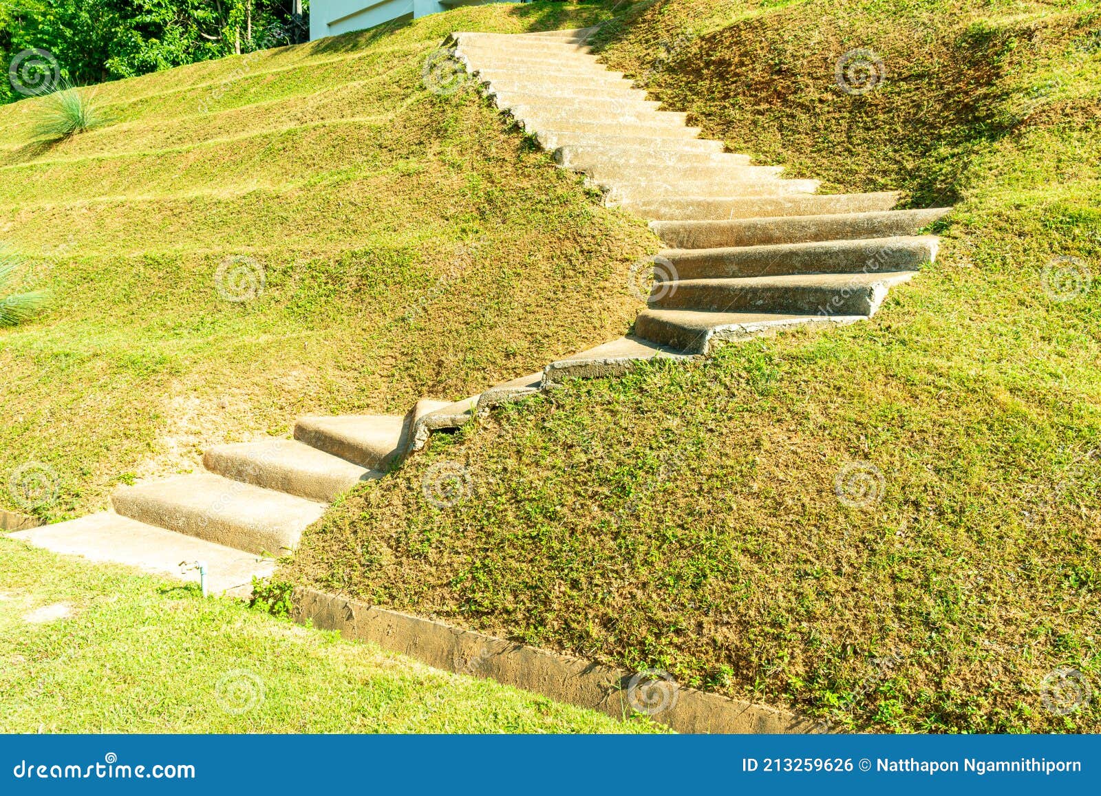 Stair on grass hill stock photo. Image of garden, climb - 213259626
