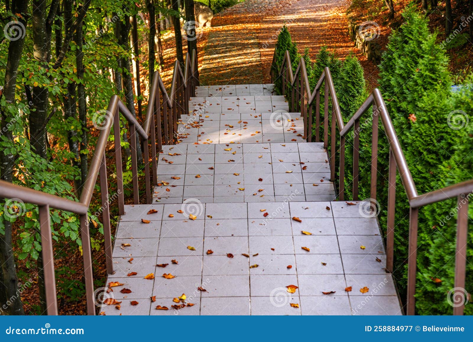 Stair Steps in the Park in the Evening. Stock Image - Image of wood ...