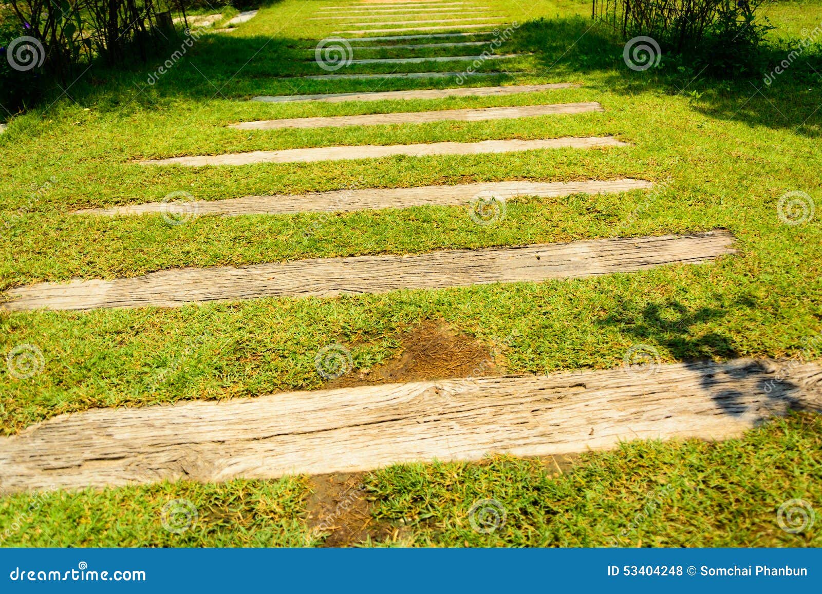 Staircase Artificial Grass with Wooden Stock Photo - Image of lush ...