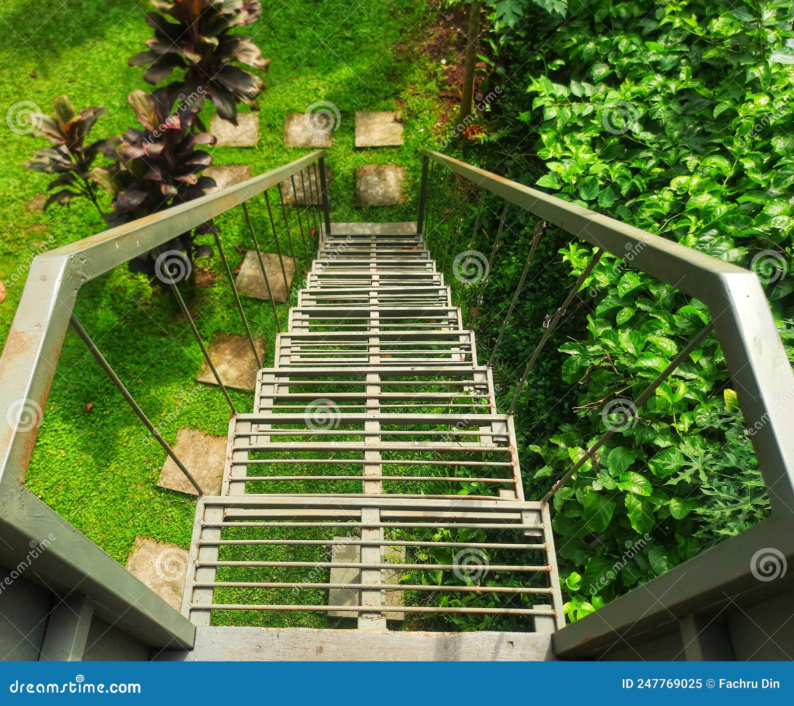Staircase Design in a Tree House Stock Image - Image of flower ...