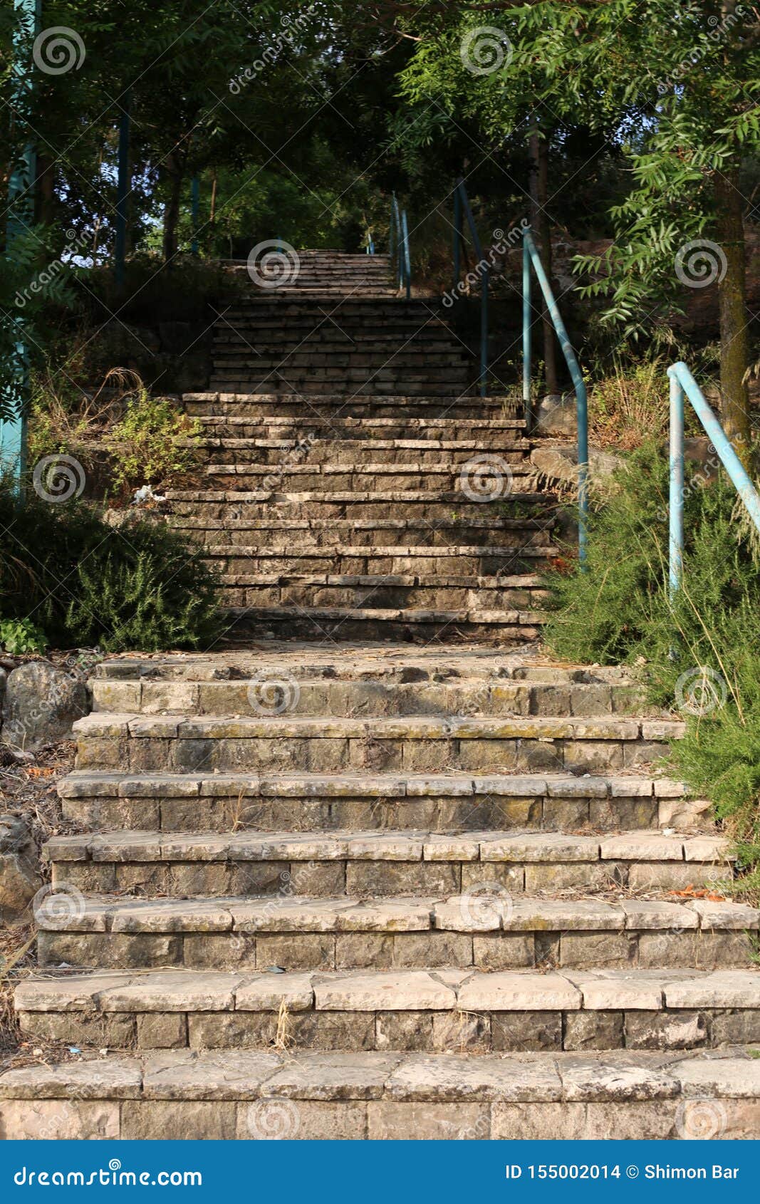 The Ladder Serves To Climb Up and Down Stock Photo - Image of steps ...