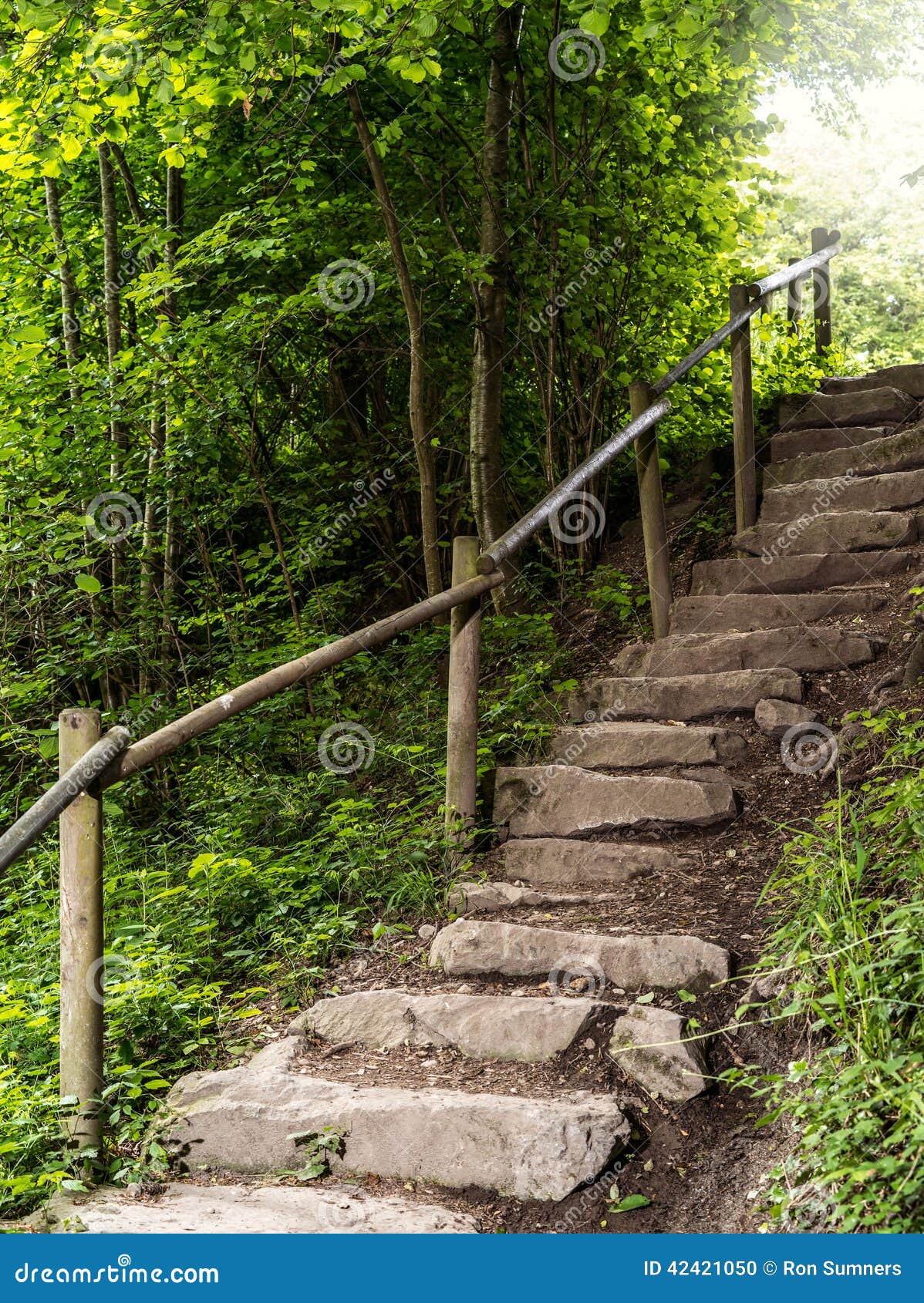 Staircase in the forest stock photo. Image of steps, stairs - 42421050