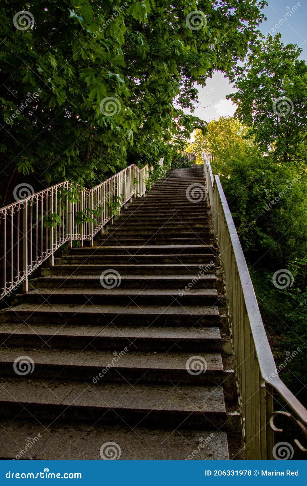 A Staircase Leading Up among the Trees. Stock Photo - Image of nature ...
