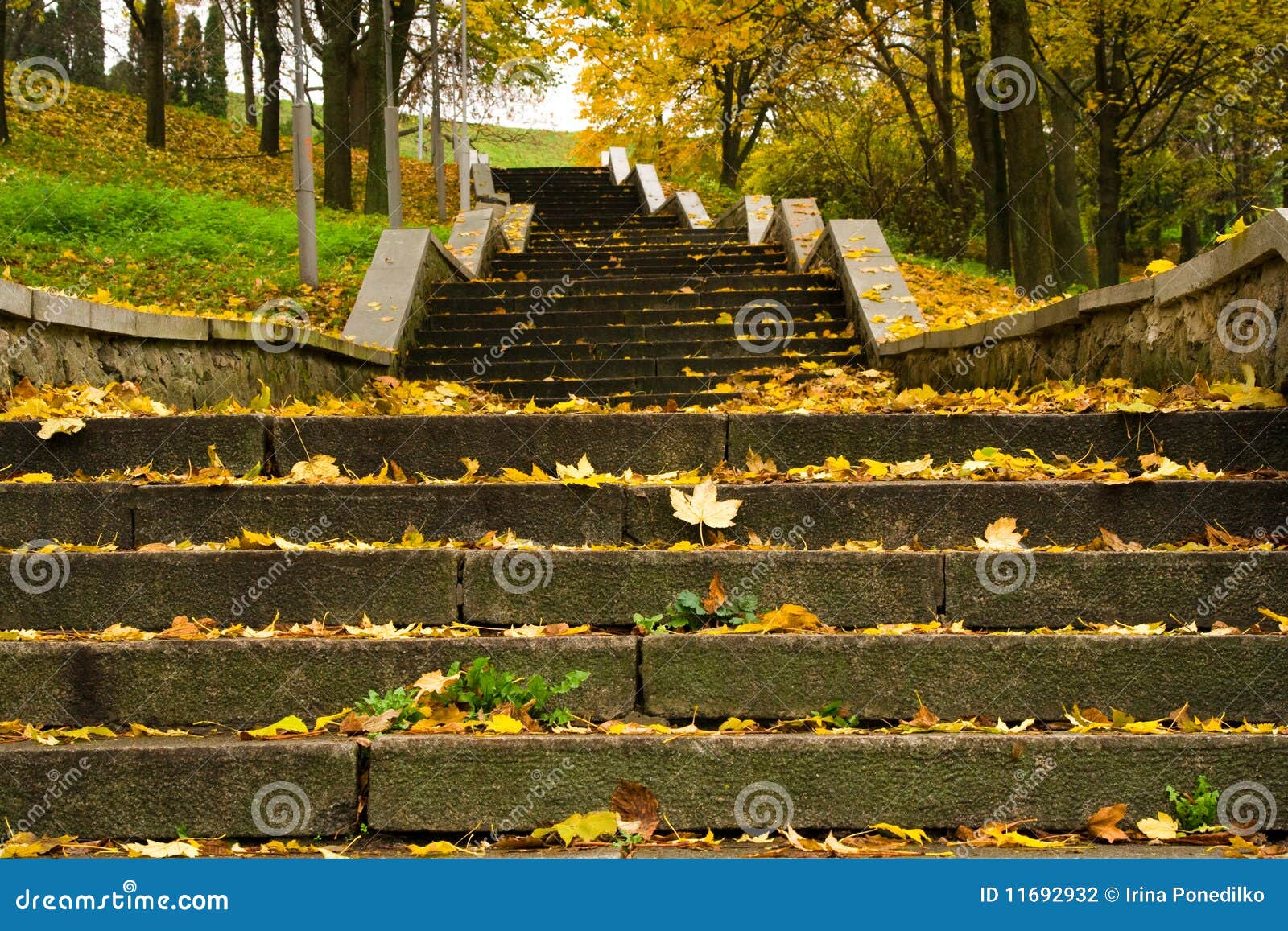 Staircase in the Park stock photo. Image of leaf, stone - 11692932