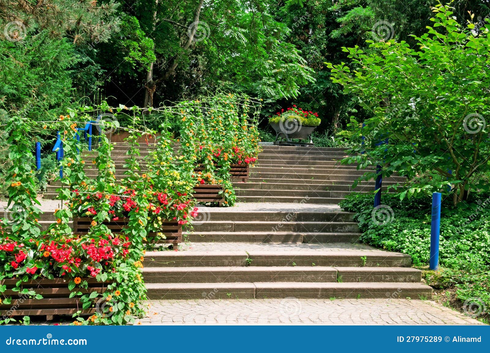 Staircase in the park stock image. Image of path, peaceful - 27975289