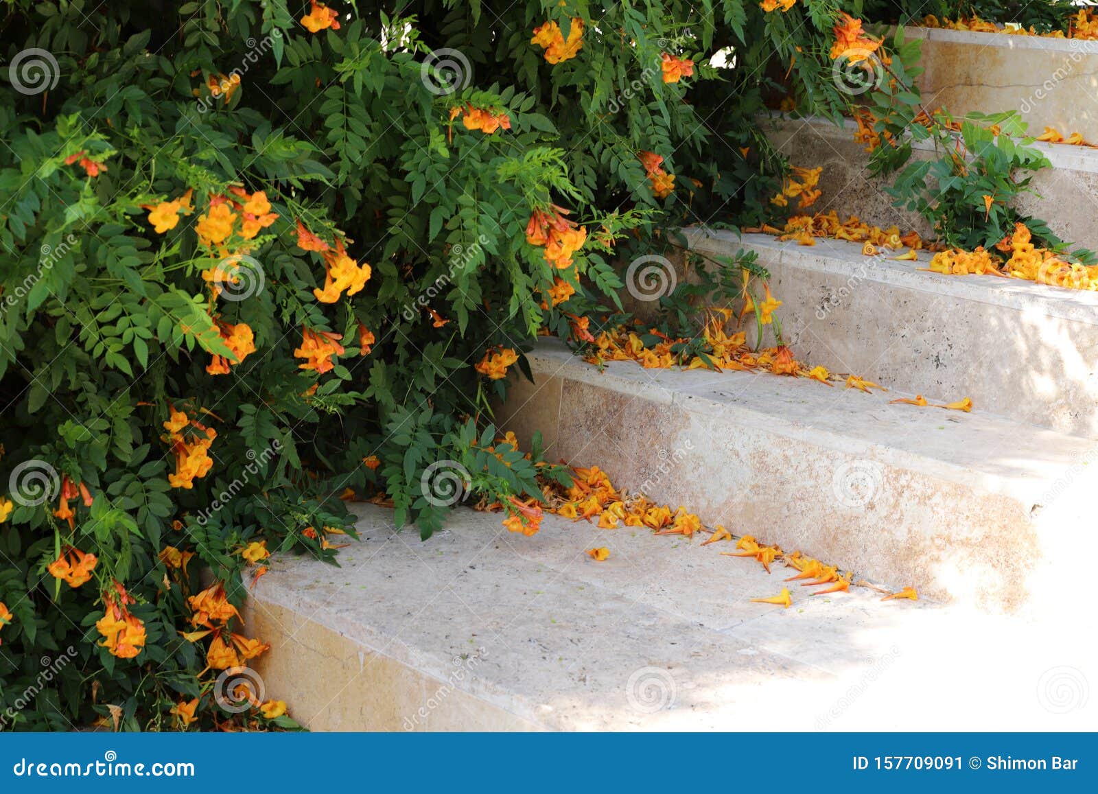 A Staircase is a Structure in the Form of a Series of Steps for Ascent ...