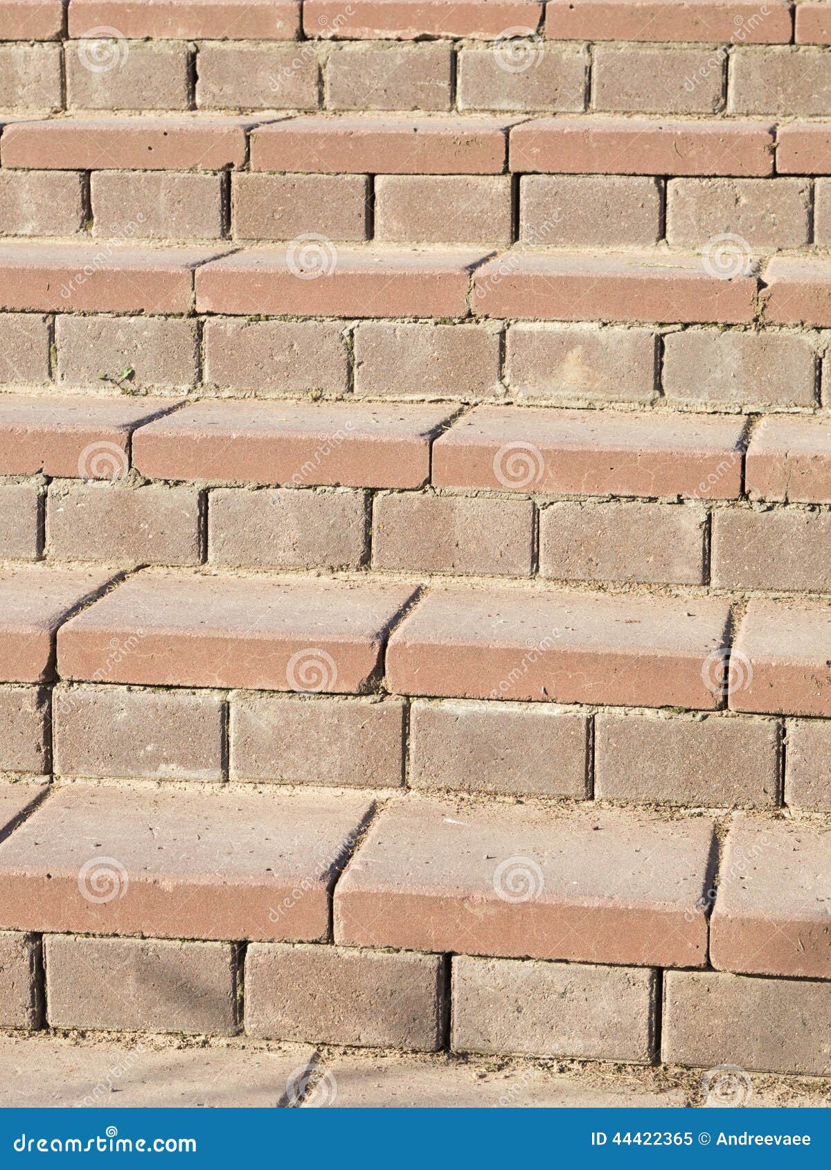 Terracotta Paving Tile Royalty-Free Stock Photography | CartoonDealer ...