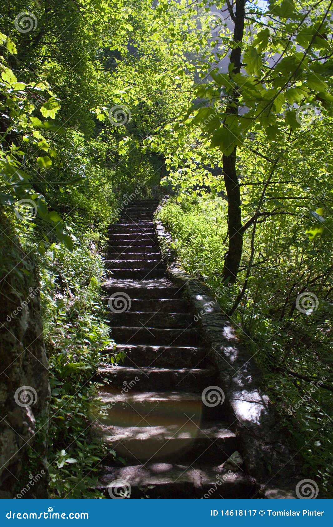 Staircases in the forest stock image. Image of stone - 14618117