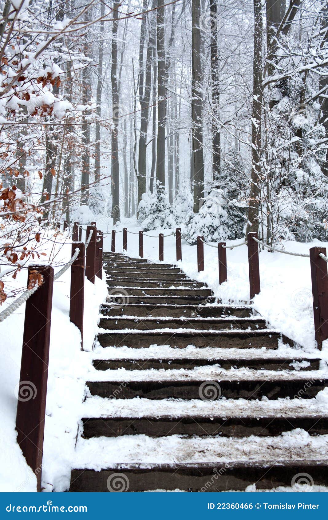 Stairs in a Cold Winter Day Stock Photo - Image of tourism, travel ...