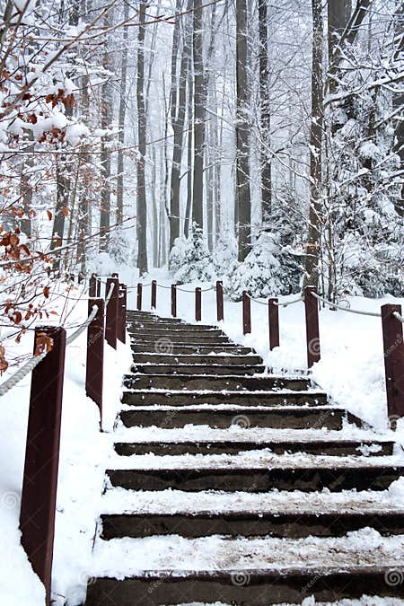 Stairs in a Cold Winter Day Stock Photo - Image of tourism, travel ...