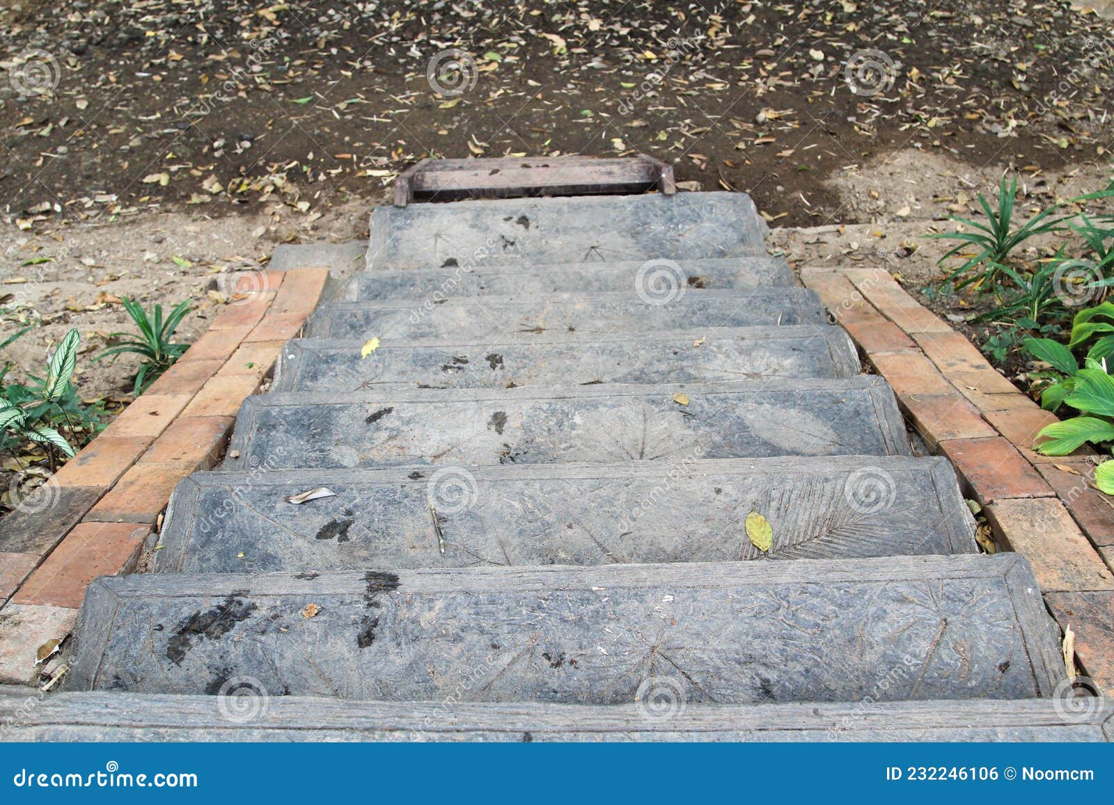 Stairs down to the stream stock photo. Image of stream - 232246106