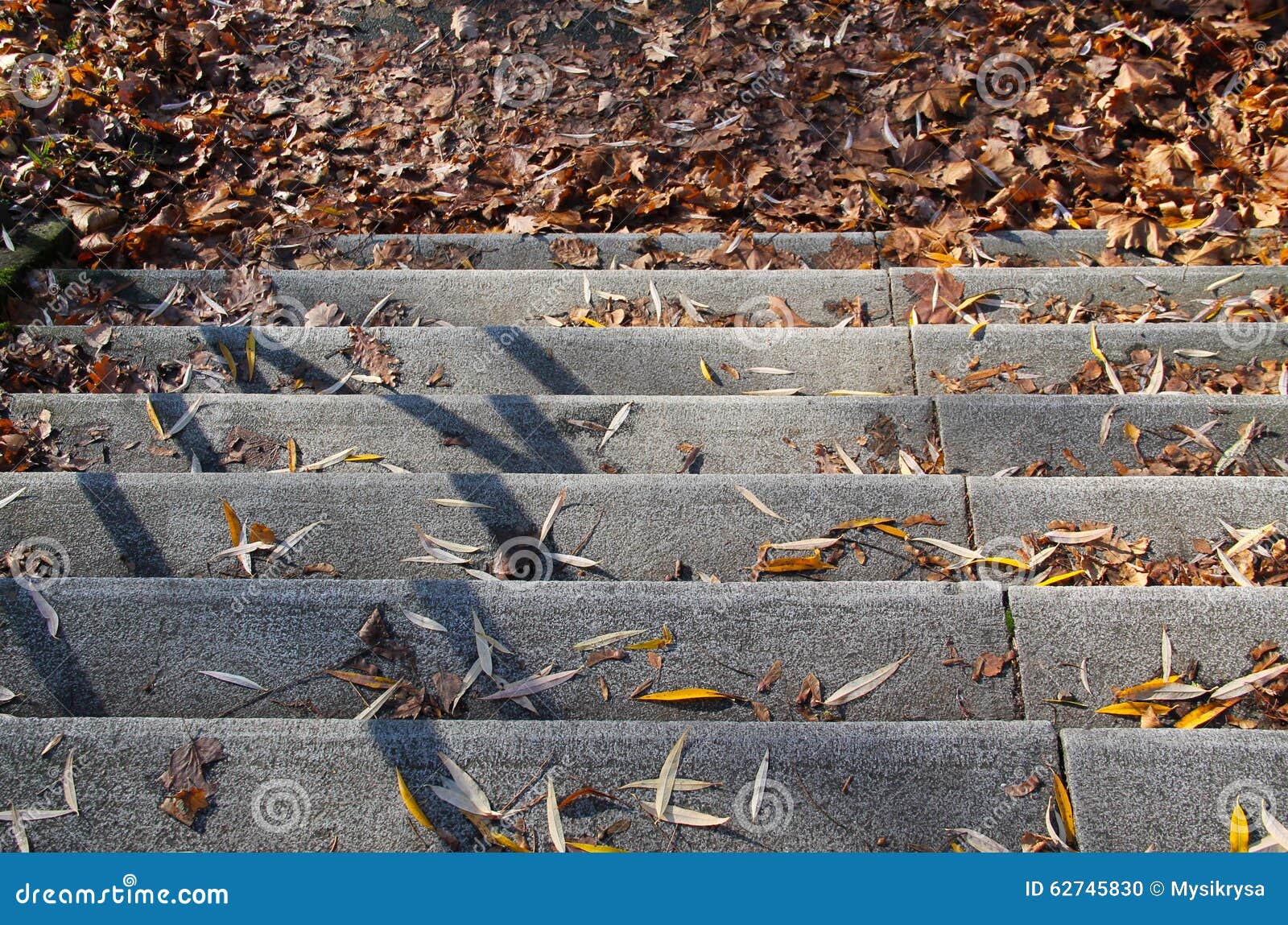 Stairs with fallen leaves stock photo. Image of cover - 62745830