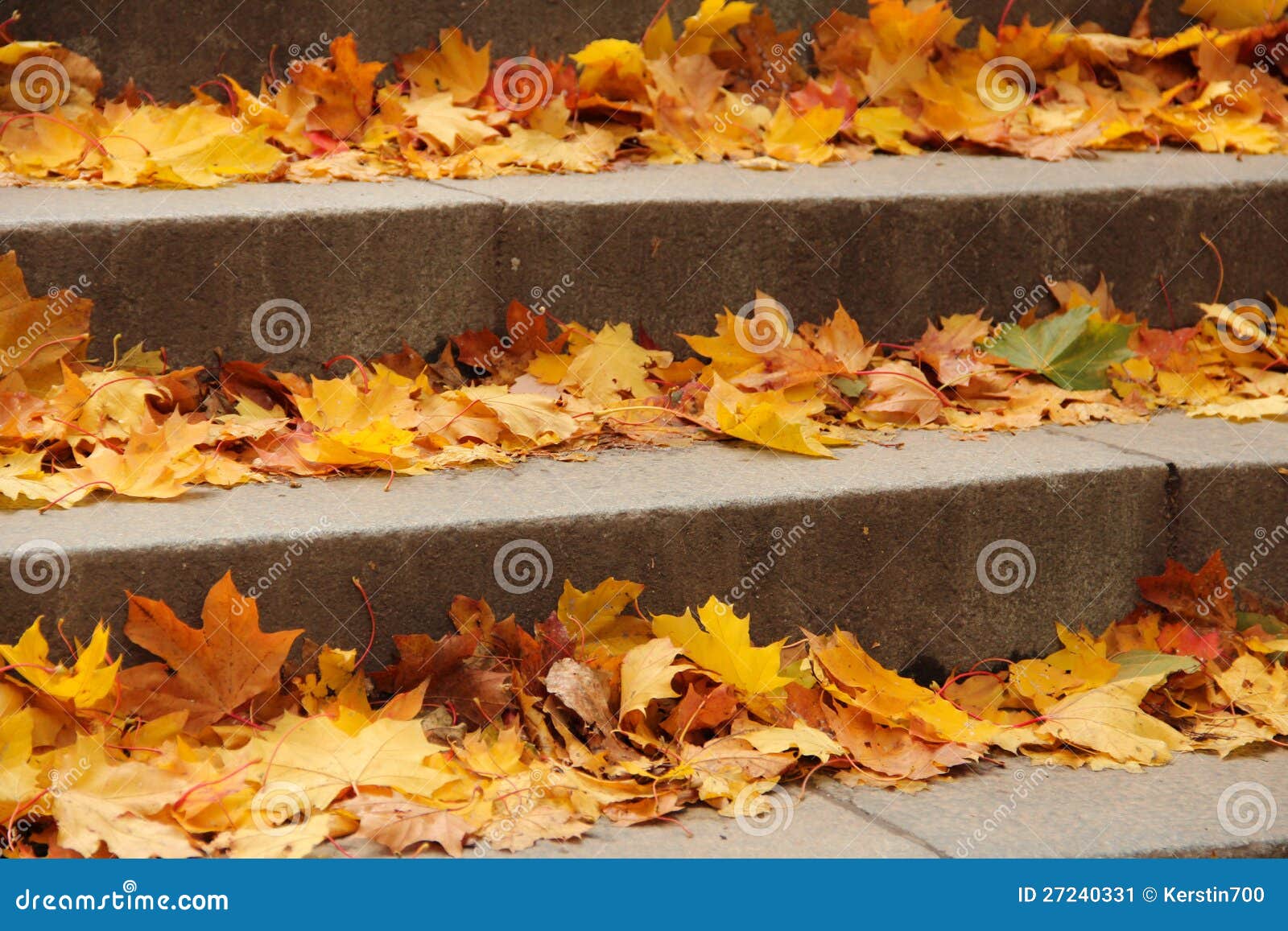 Stairs Filled with Autumn Leaves Stock Image - Image of path, colorful ...