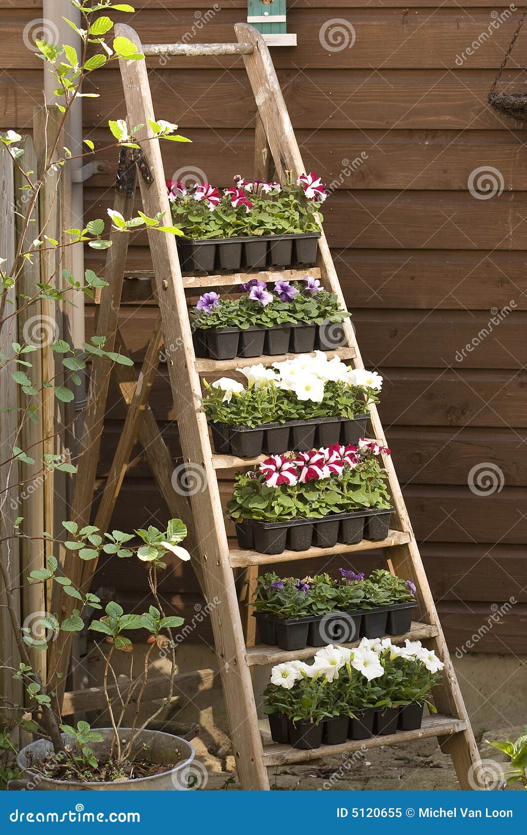 Stairs with flowers stock image. Image of window, plants - 5120655