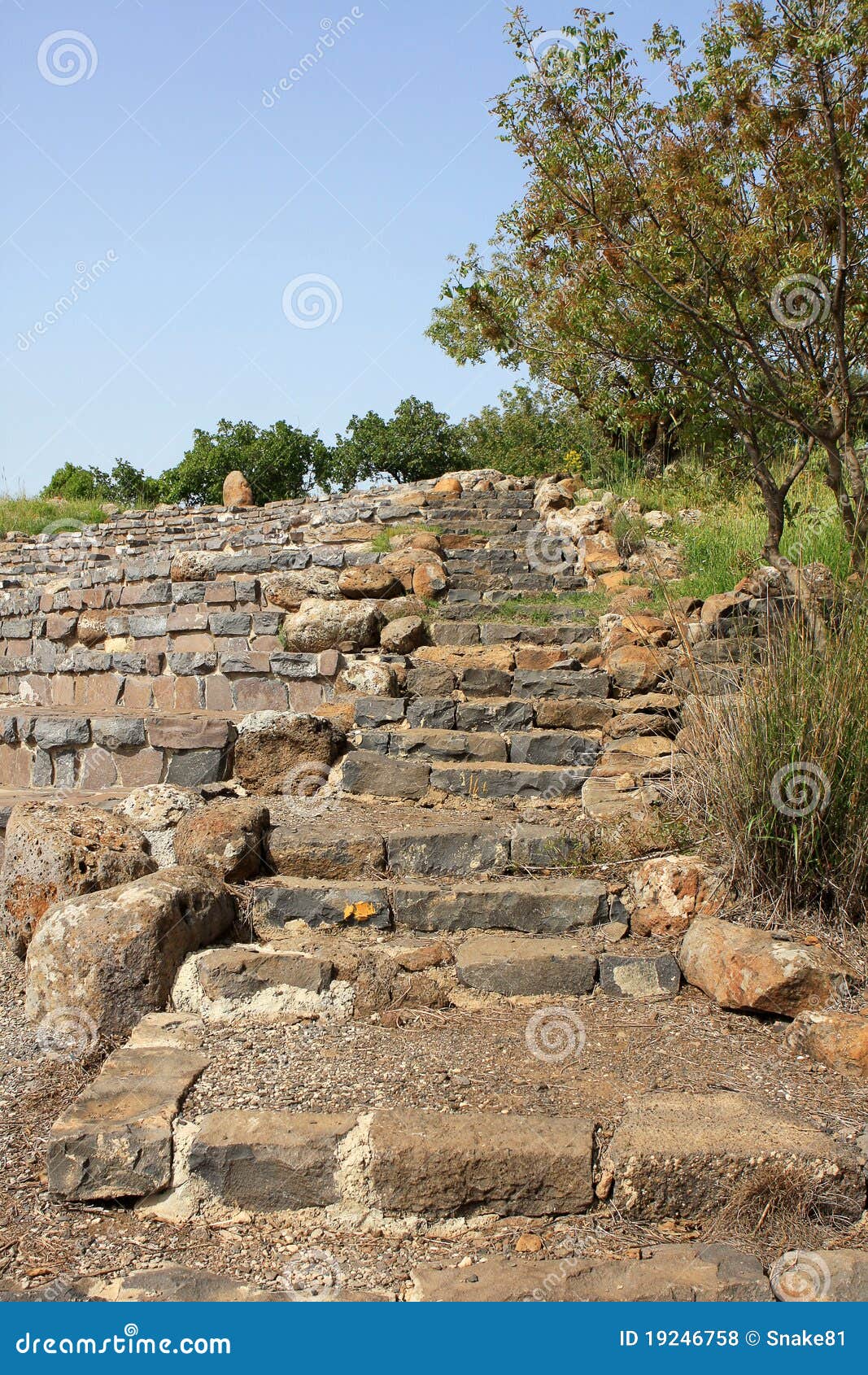 Stairs at Gamla stock photo. Image of golan, tree, gamla - 19246758