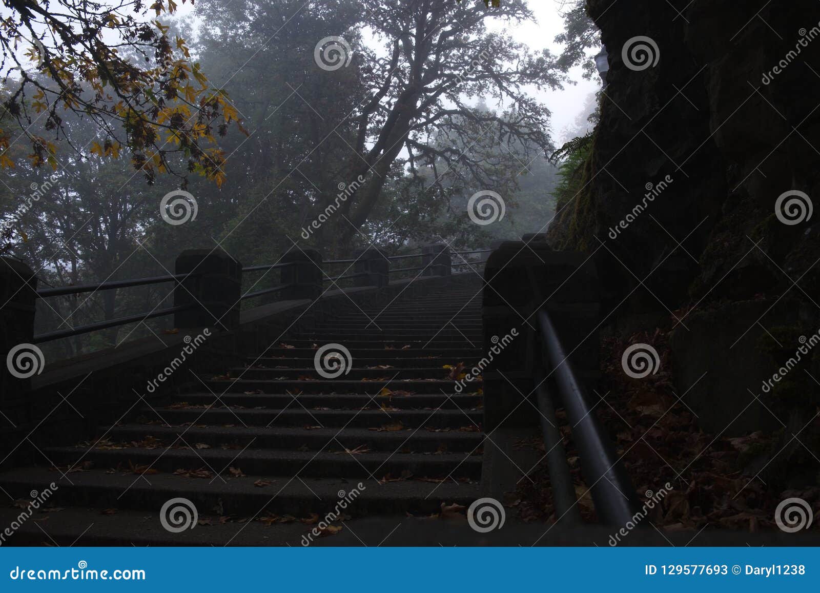 Stairs Going Up into the Fall Mist Morning Stock Image - Image of grime ...
