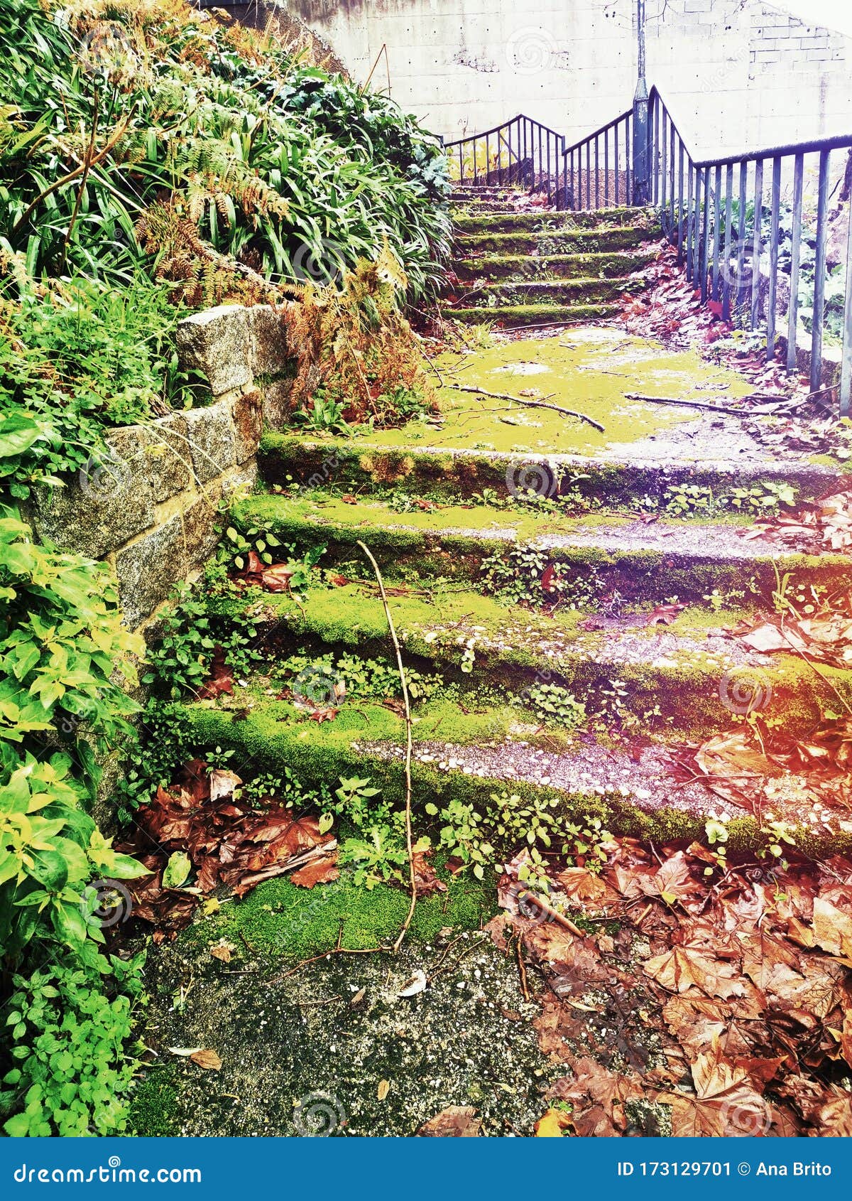 Stairs in Green stock image. Image of green, winter - 173129701