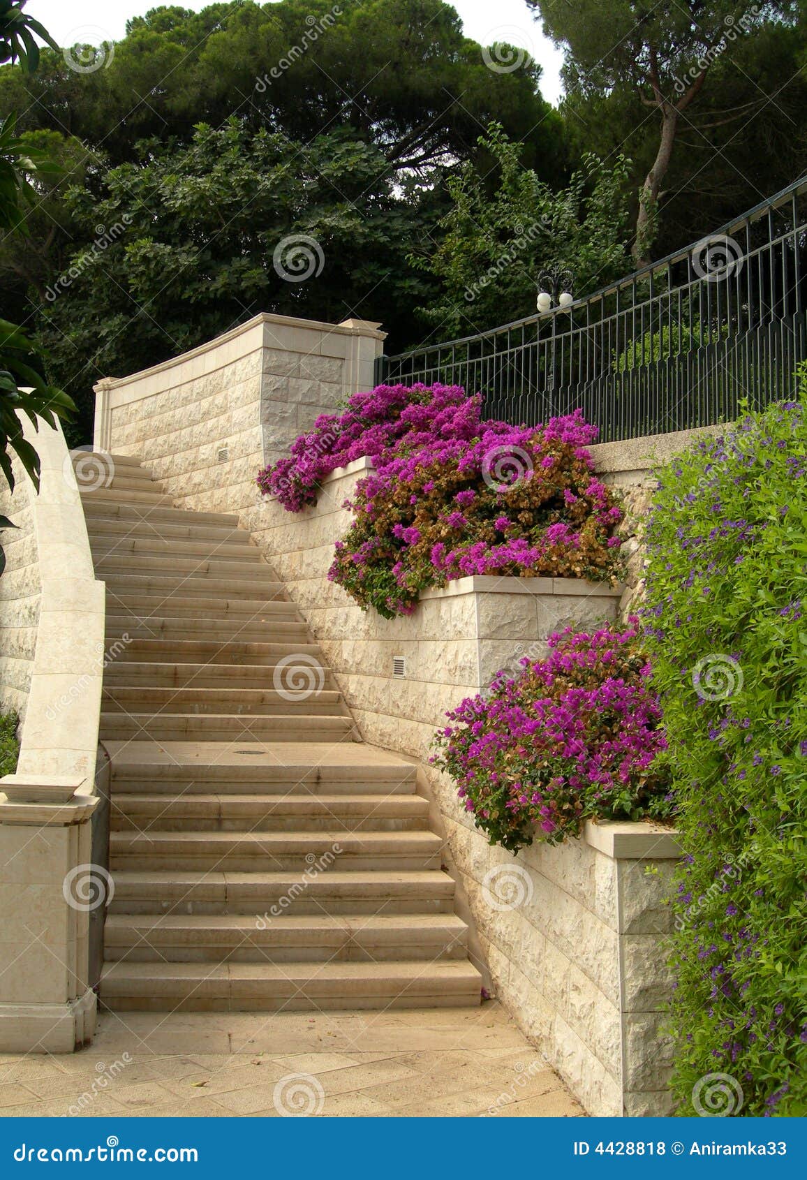 Stairs in Haifa park stock photo. Image of plants, haifa - 4428818