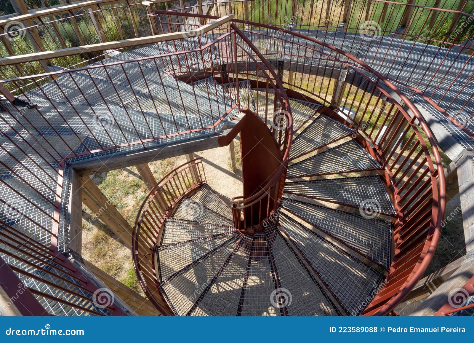 Anu-branco Bird On A Tree Branch Stock Photography | CartoonDealer.com ...