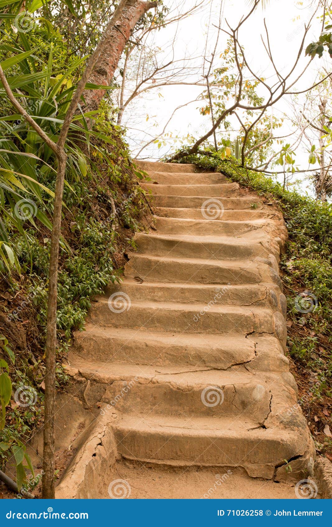 Stairs in Jungle stock photo. Image of tourism, stone - 71026258