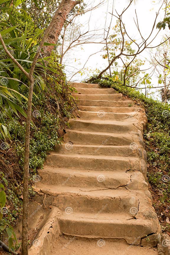 Stairs in Jungle stock photo. Image of tourism, stone - 71026258