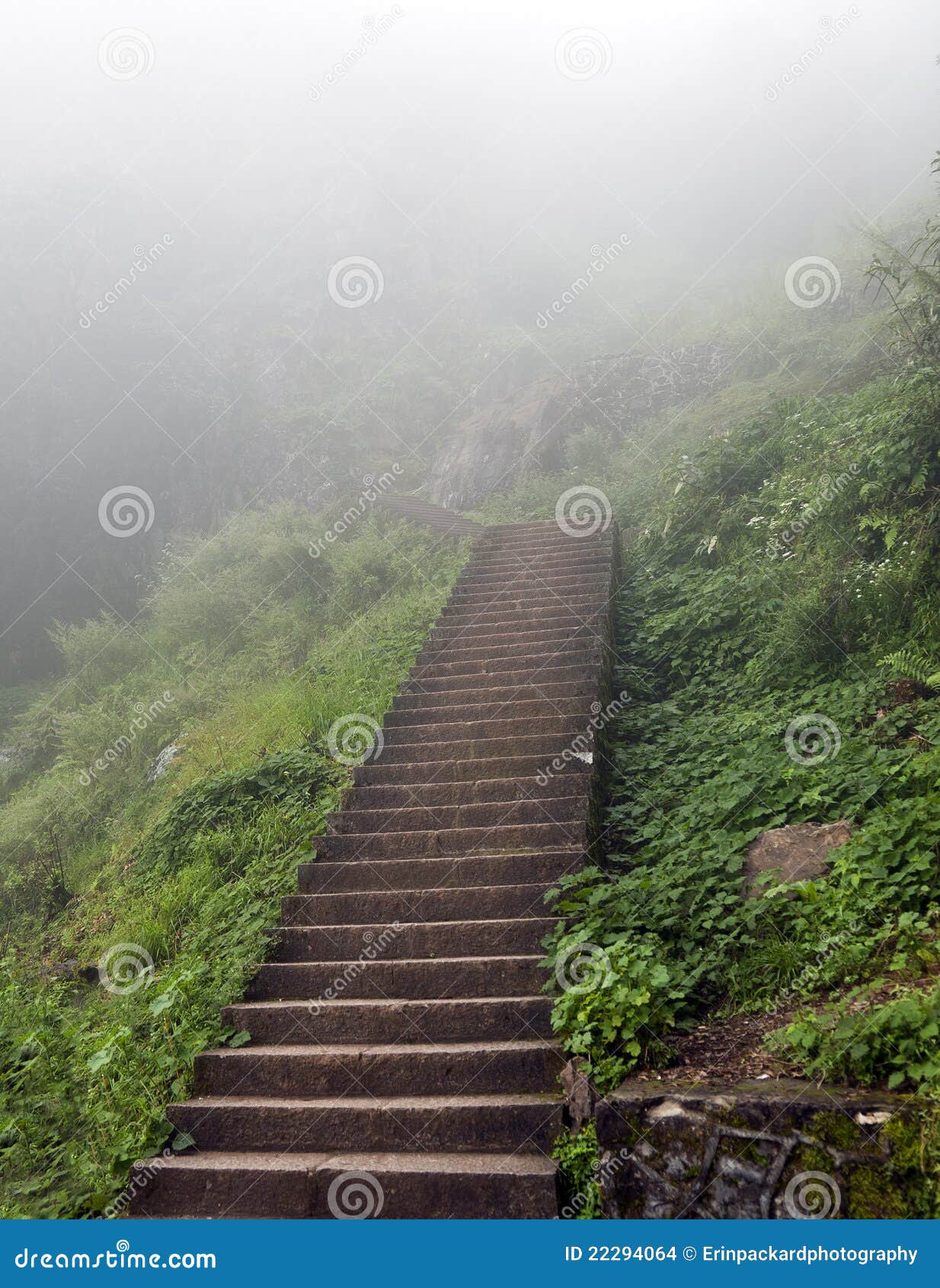 Stairs leading up stock photo. Image of motivate, goals - 22294064
