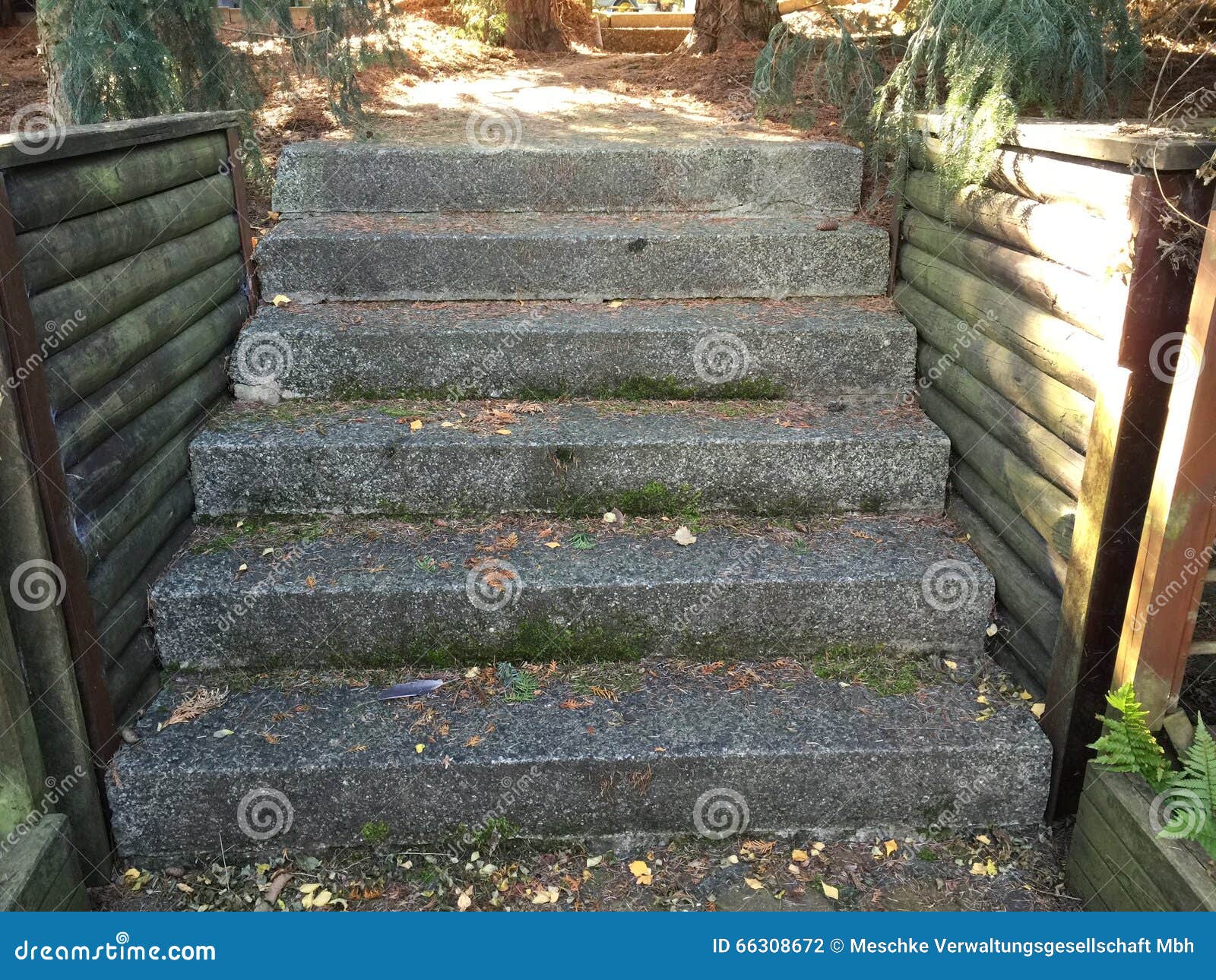 Stairs with legs in jeans stock photo. Image of stair - 66308672