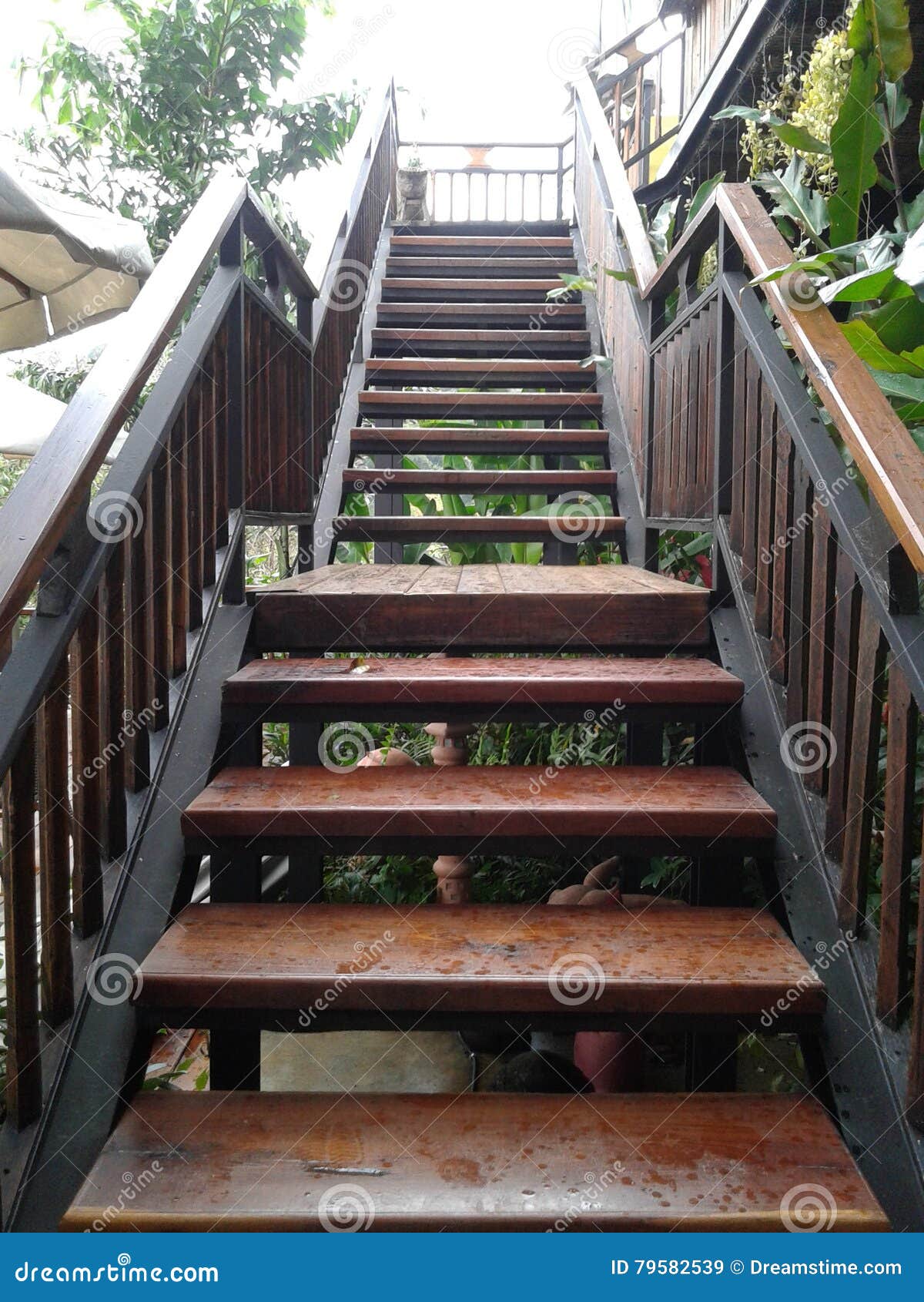 Stairs stock image. Image of lookup, look, forward, step - 79582539