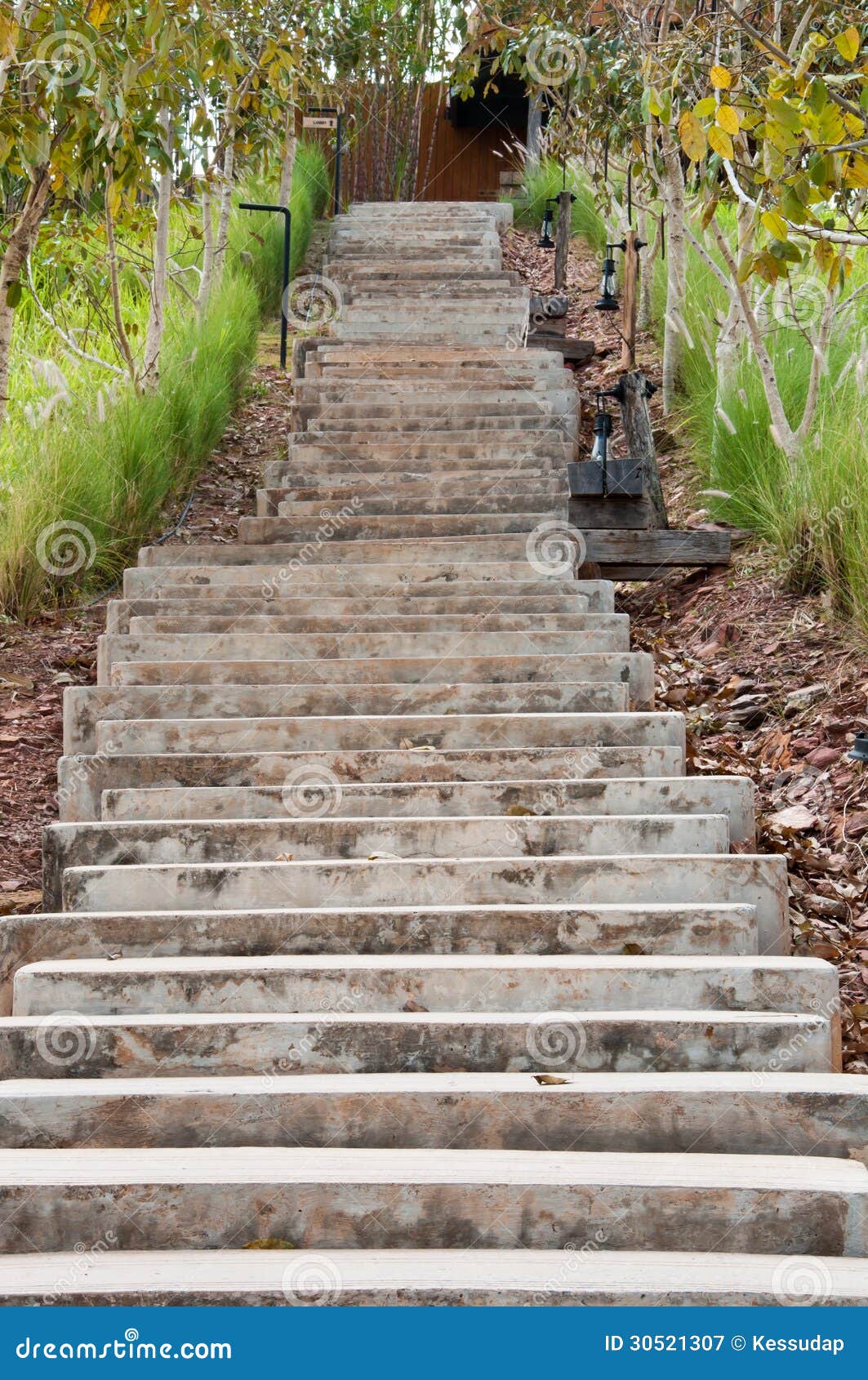 The Stairs Made from Cement Stock Image - Image of architecture, brown ...